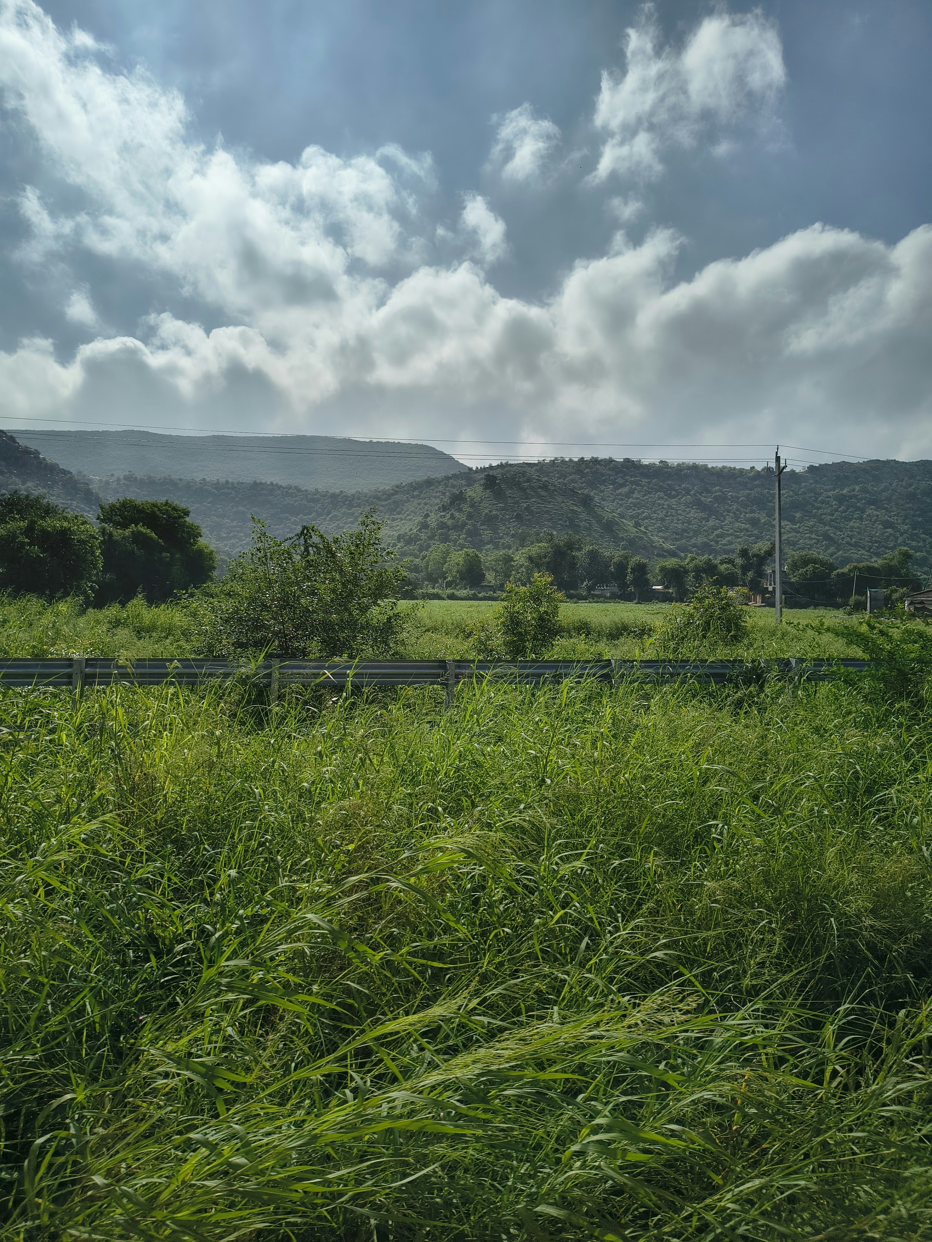 A vibrant, natural landscape featuring a foreground of tall, wild green grass swaying in the wind. In the background, rolling green hills are visible under a dynamic sky filled with white and gray clouds. A utility pole stands on the right, and a fence runs along the middle ground, indicating a rural or countryside setting with a touch of human presence. | Lush green field with rolling hills under cloudy sky