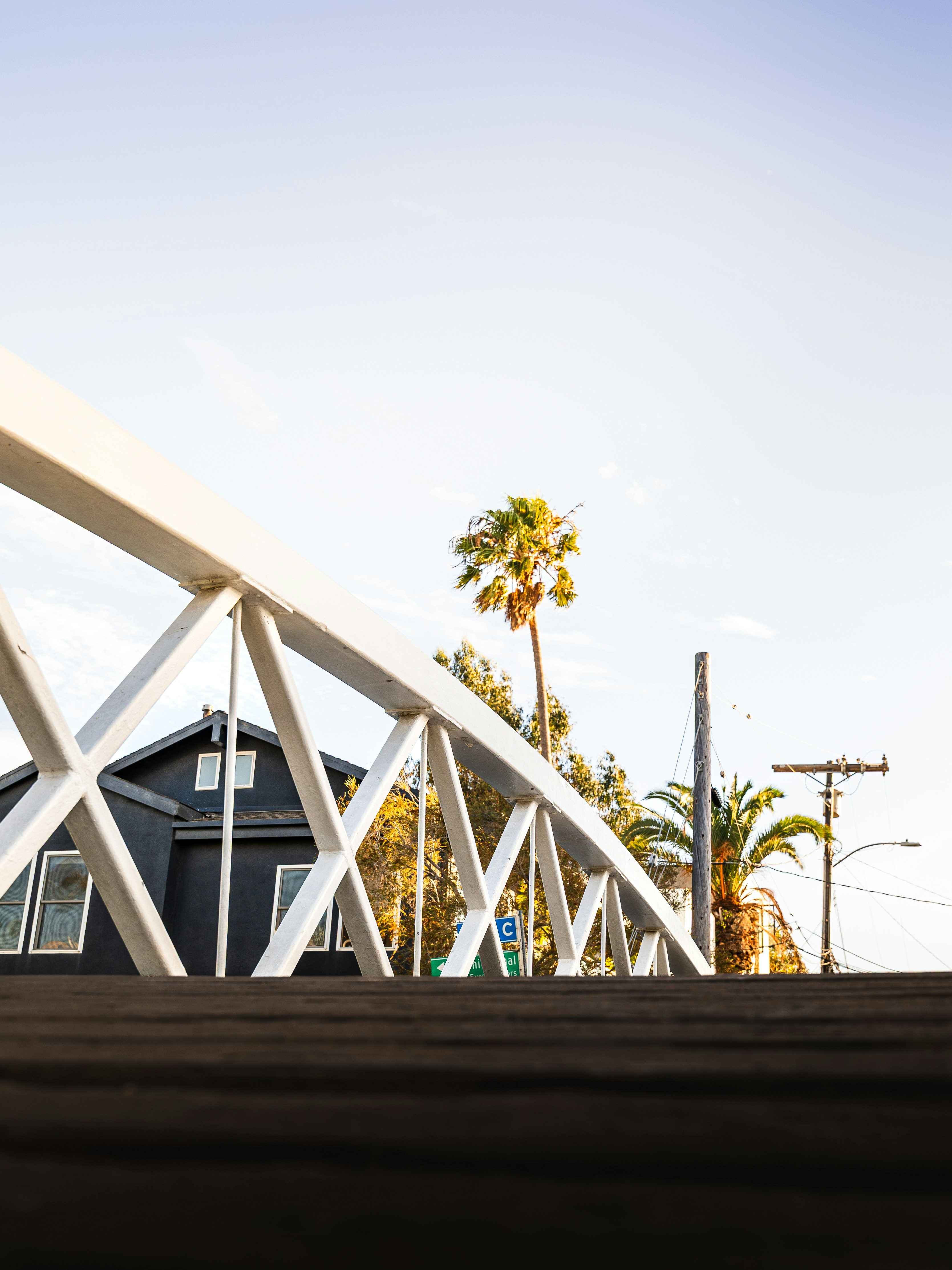 Bridge Perspective: Low Horizon and Palm Silhouette