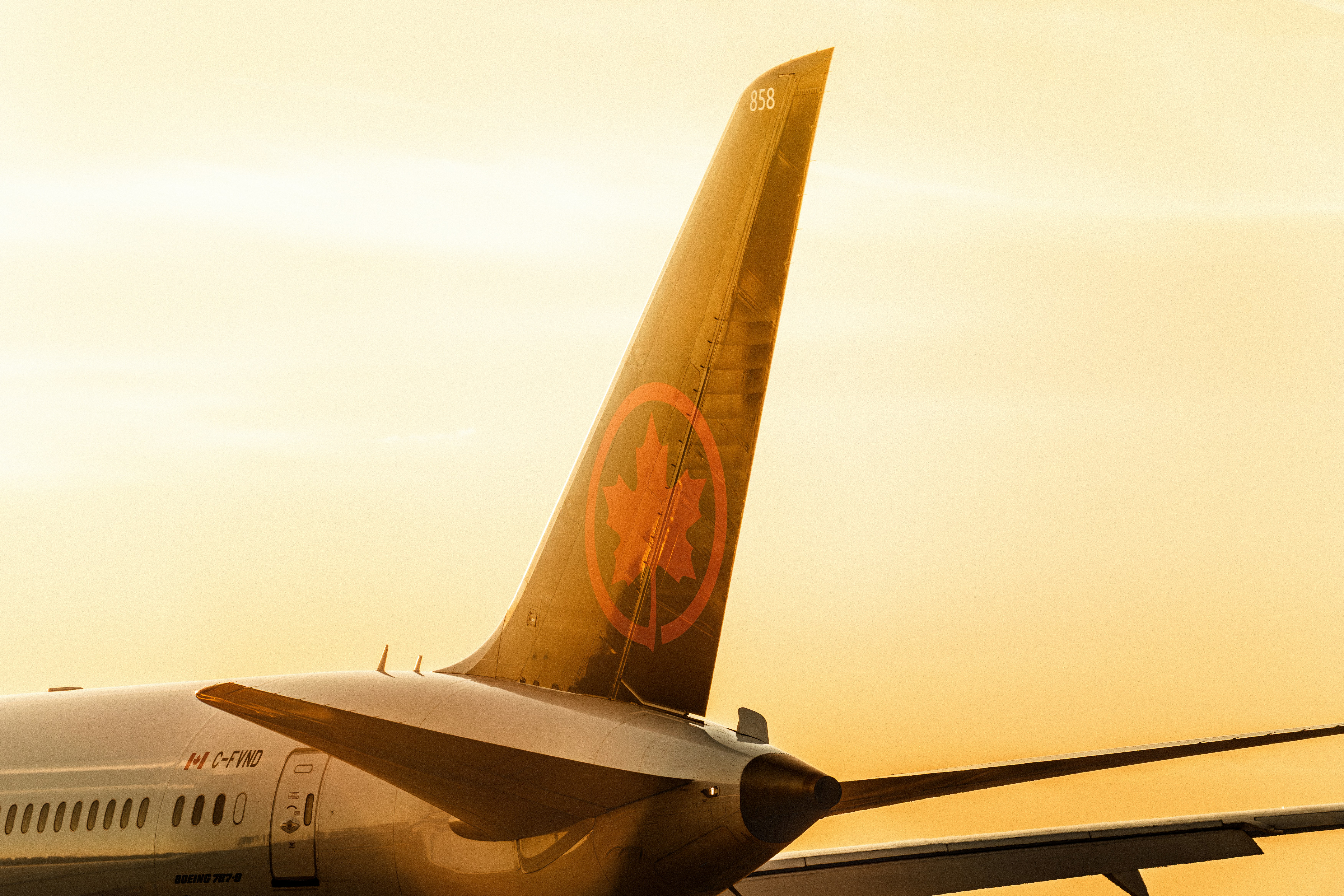 Aviation Elegance at Dusk