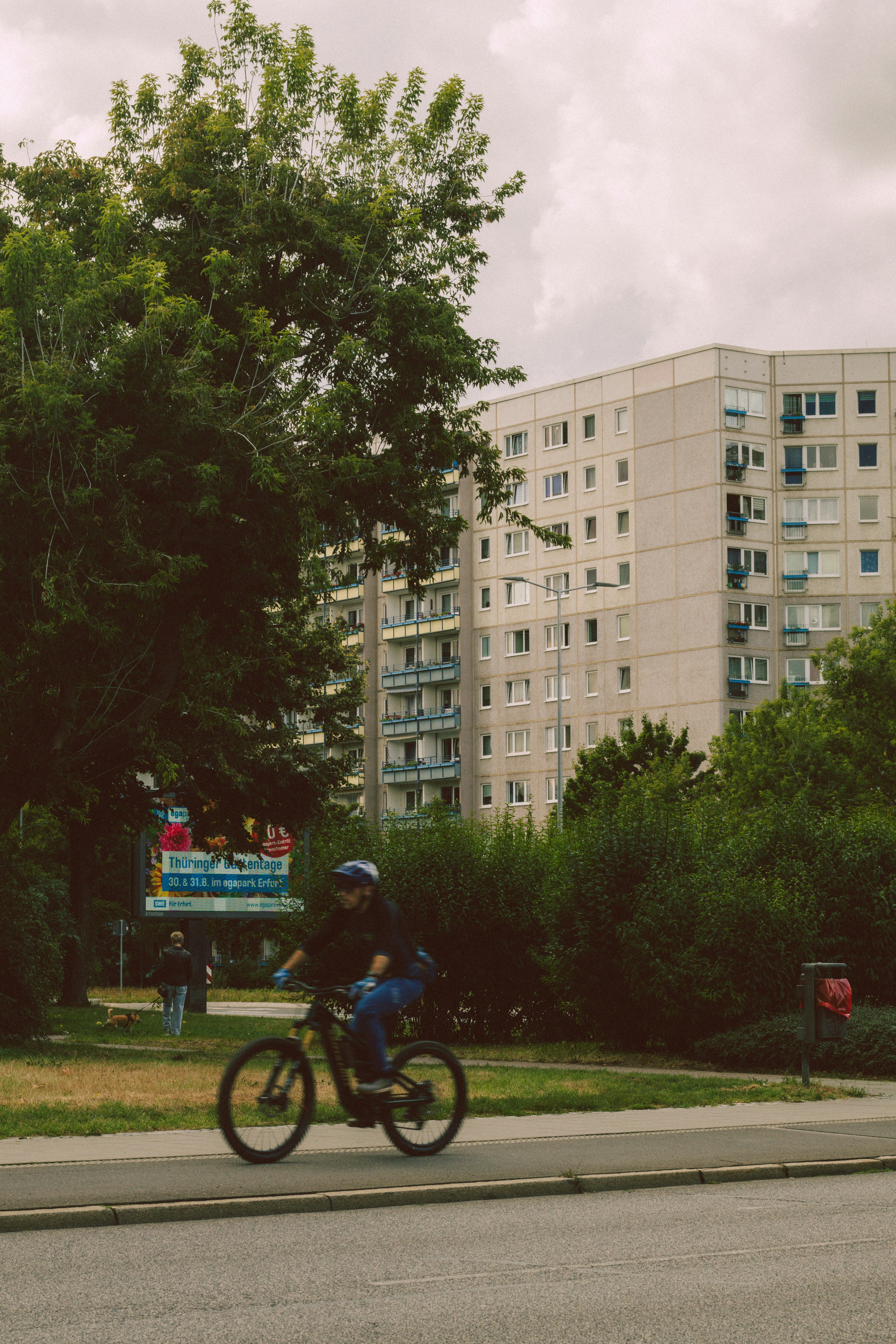 Urban Motion Amidst Stillness