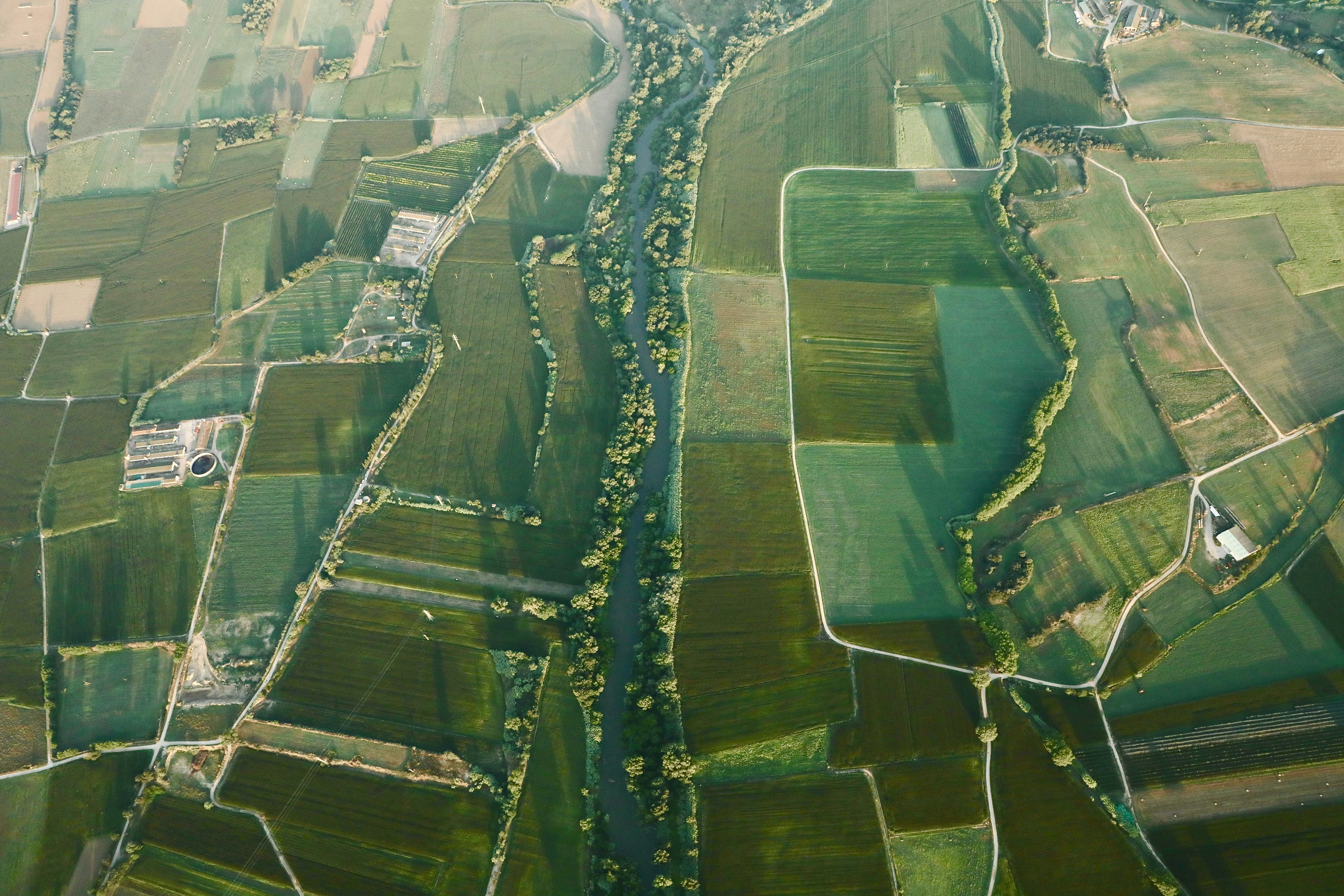 The Serpentine Embrace of Nature's Patchwork