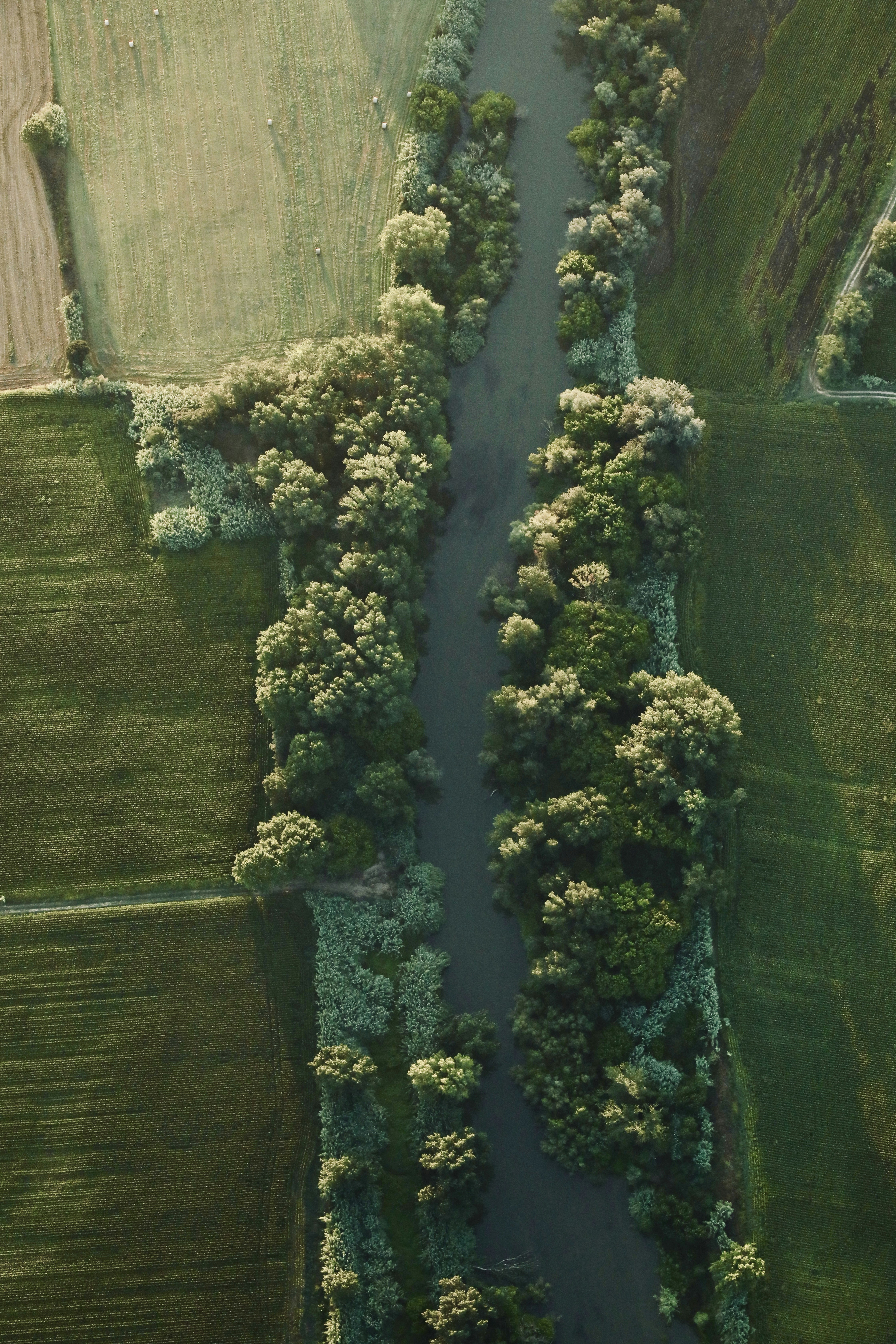 Aerial view of a river winding through green fields