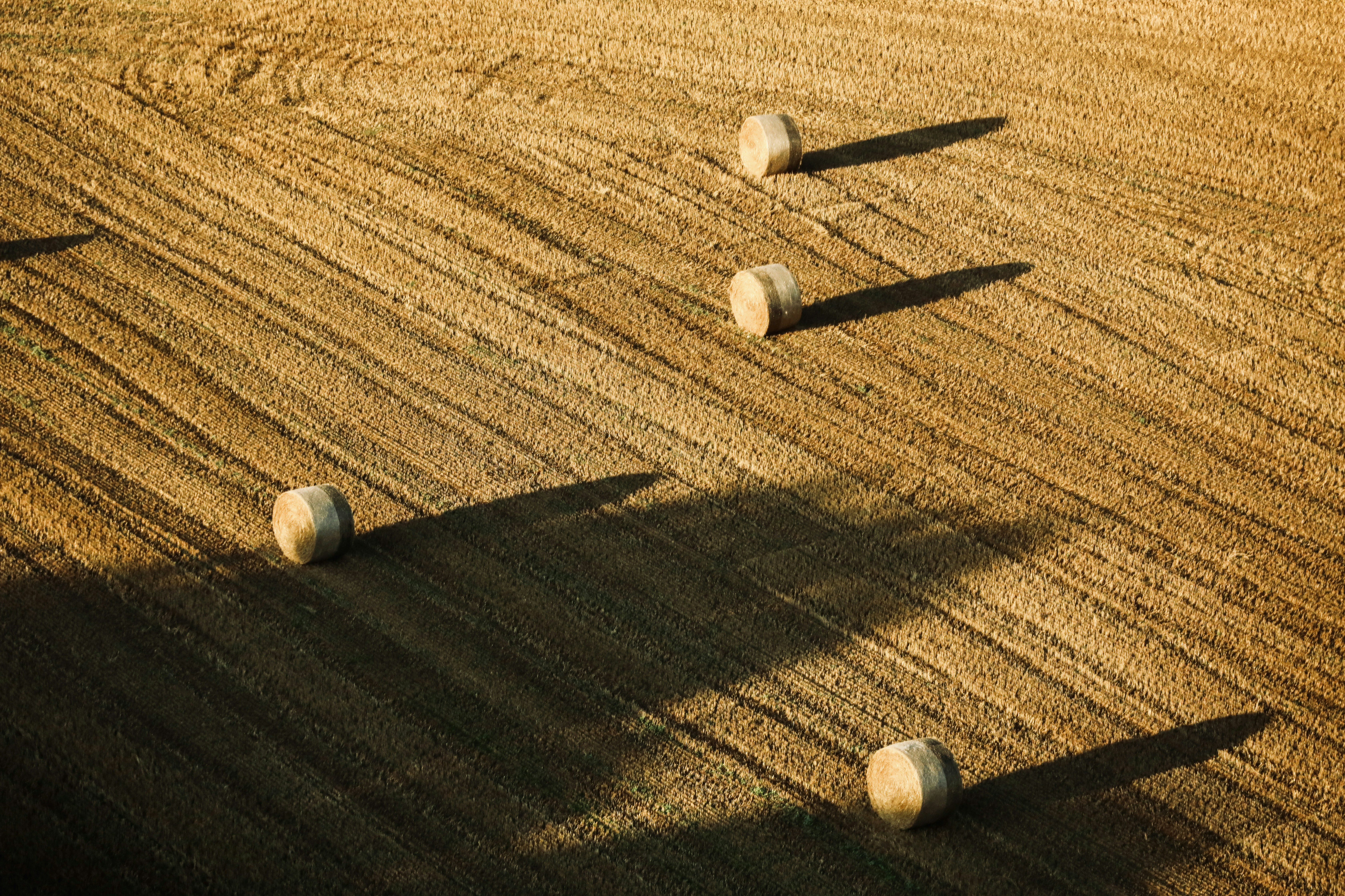 Harvest Patterns: A Dance of Shadows and Light