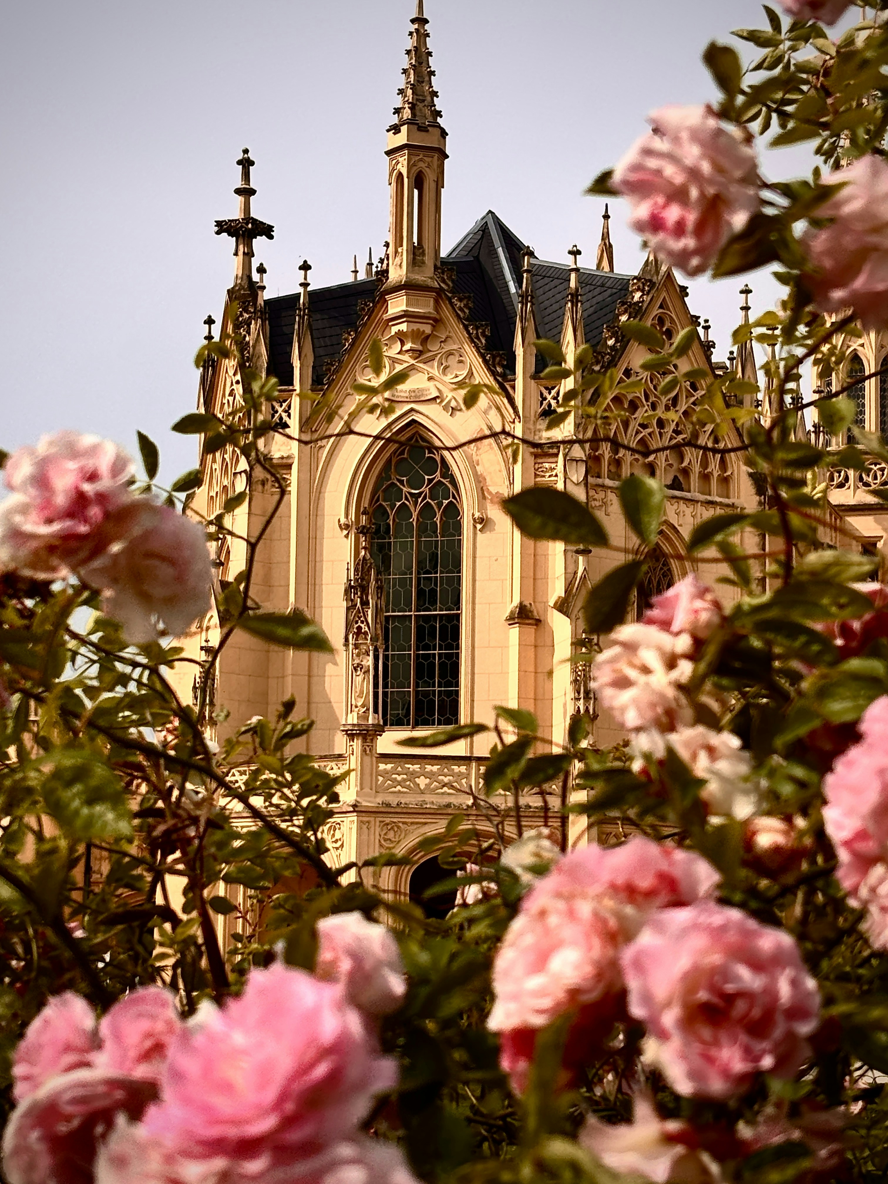 Whispers of Elegance: A Floral Framing of Gothic Architecture