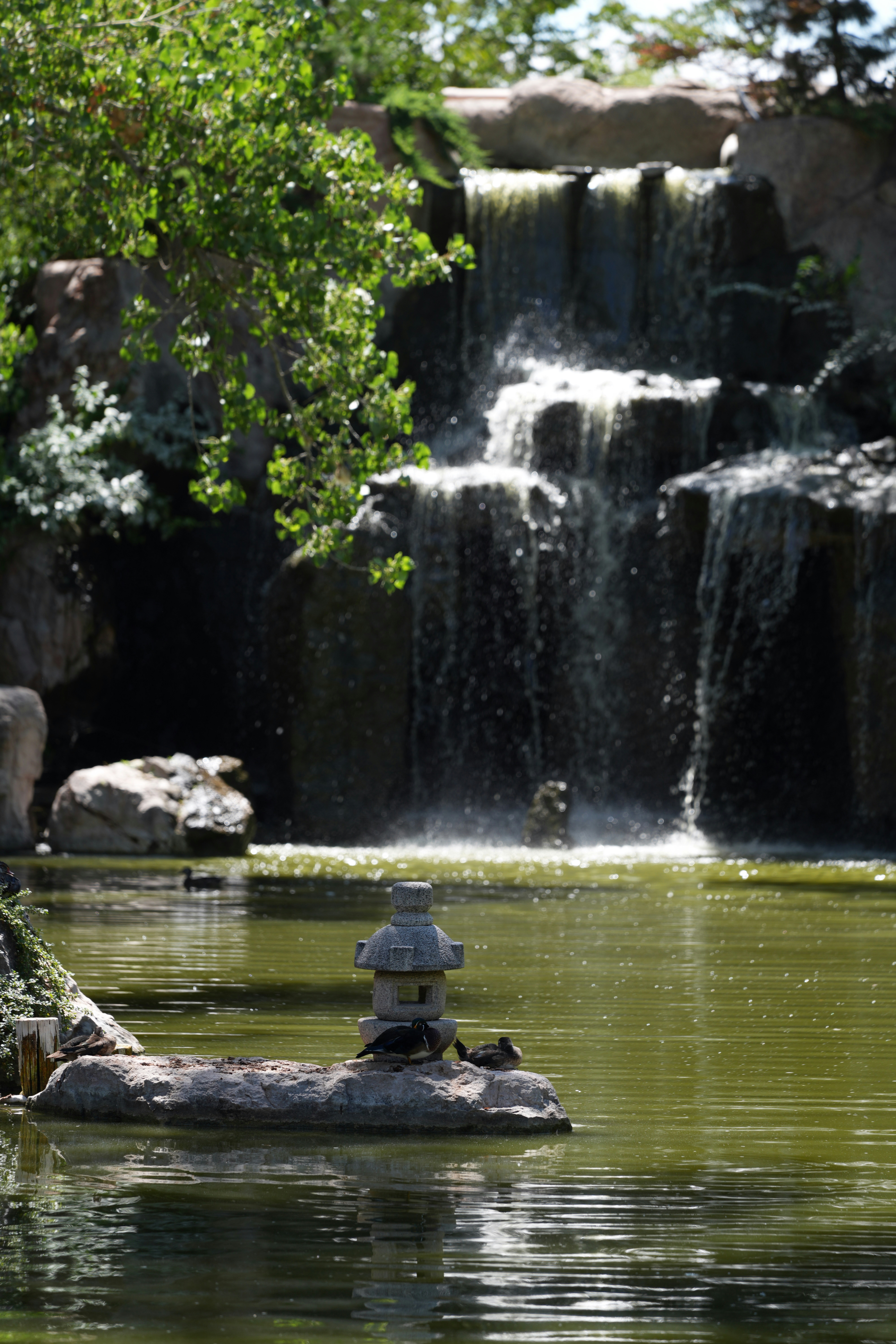 Serenity at the Water's Edge