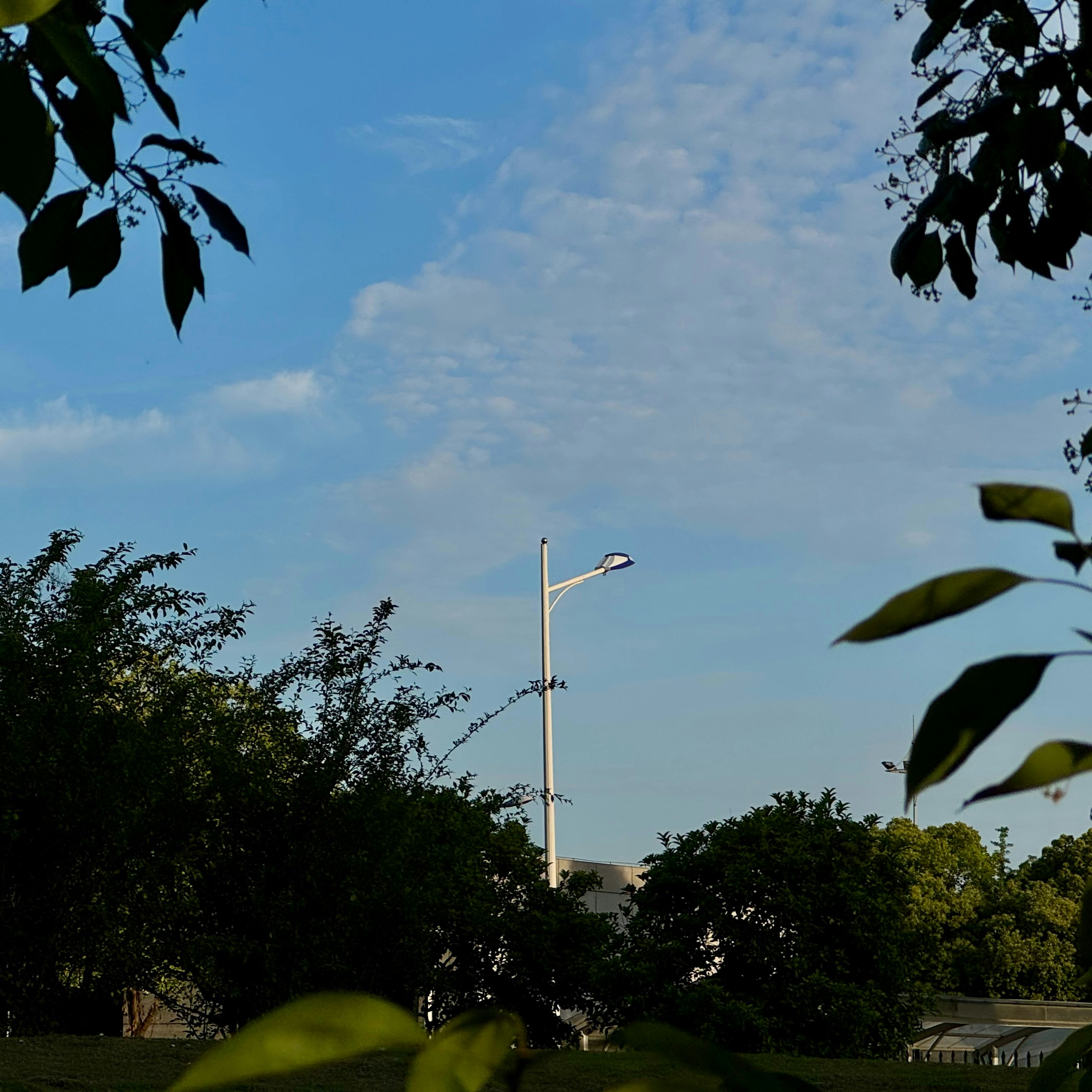 Streetlight against a blue sky with clouds