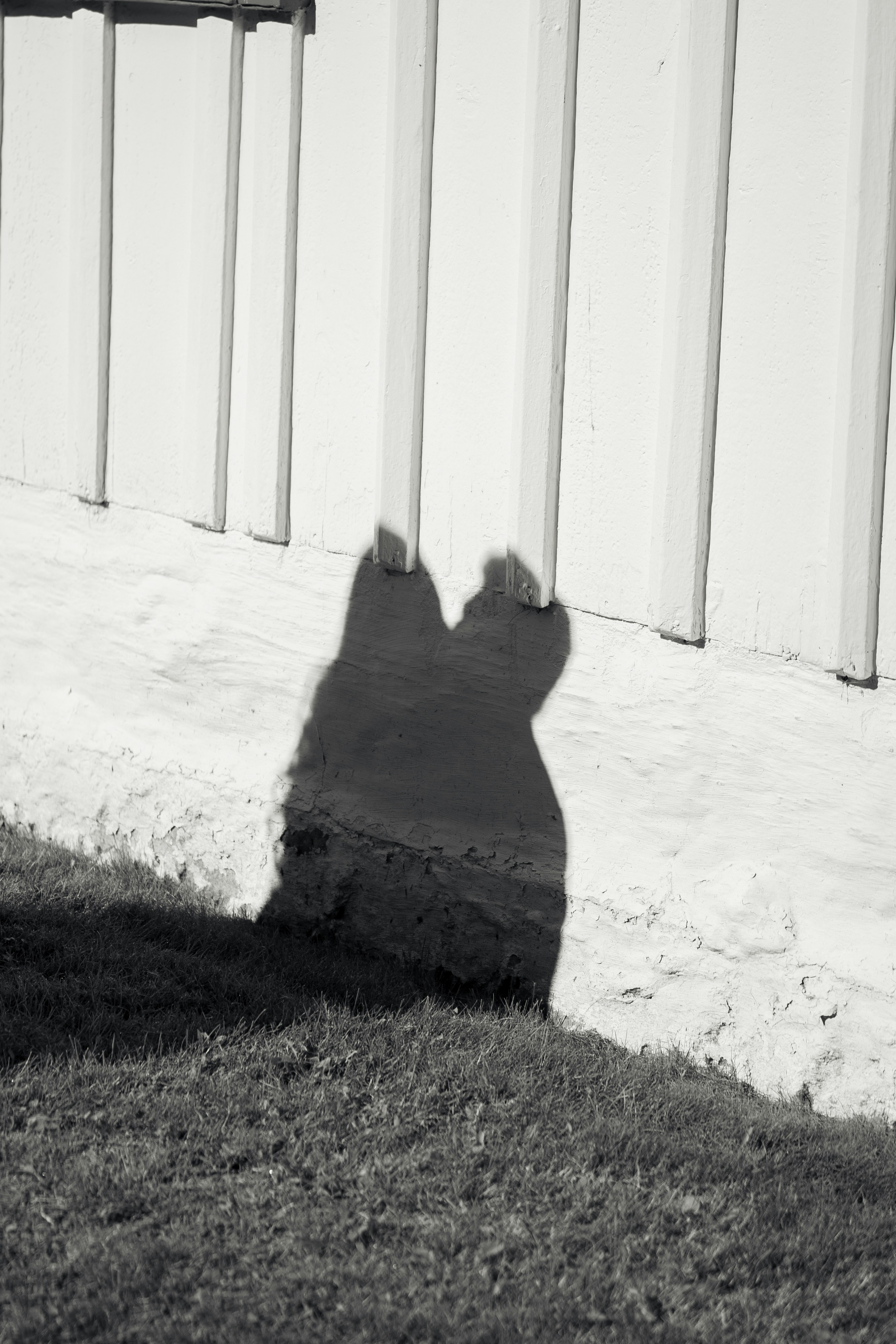 Shadows of two people on a wall