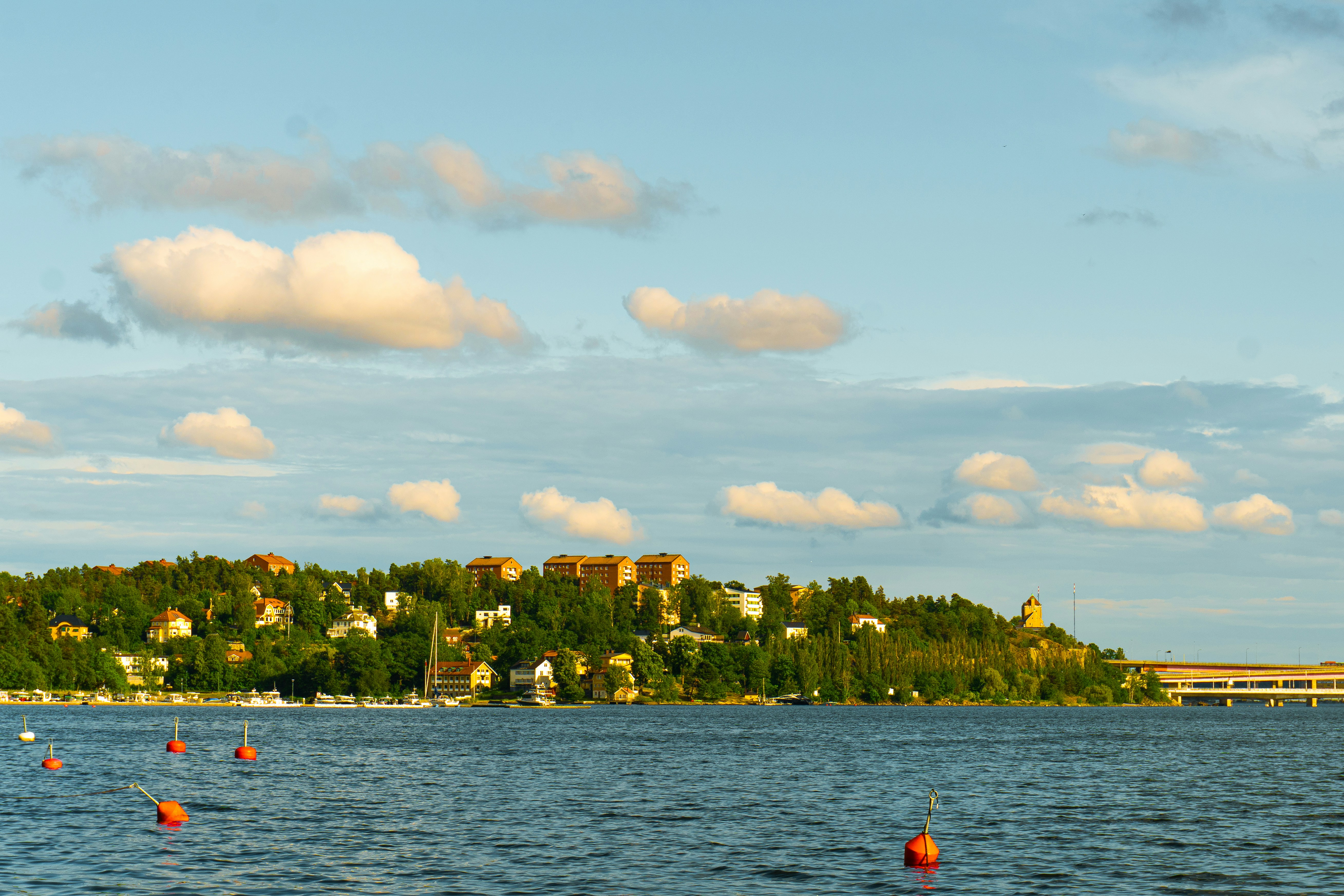 Buildings on a tree-covered hill by the water.