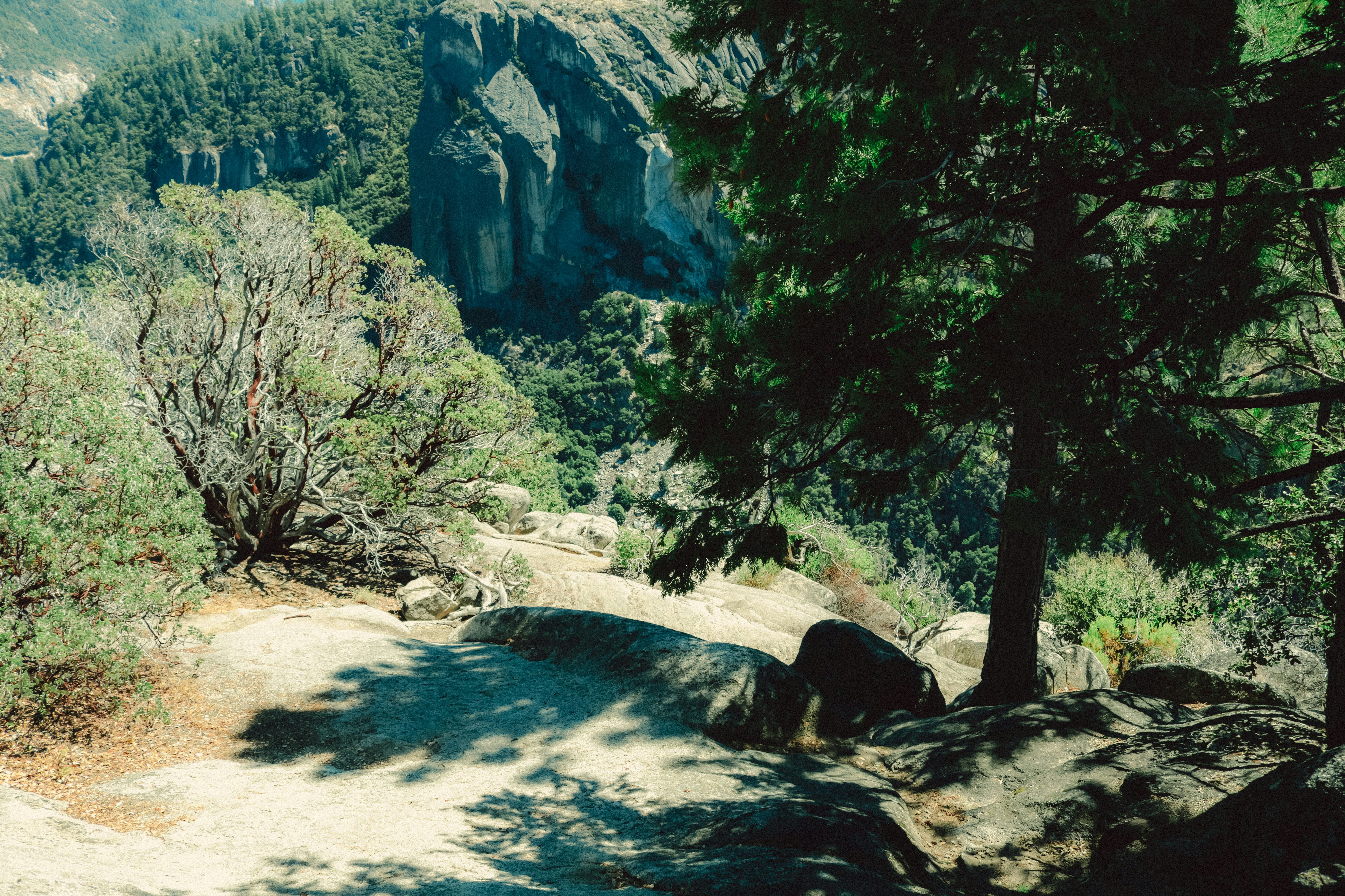 Rocky mountain trail with trees and cliff overlook