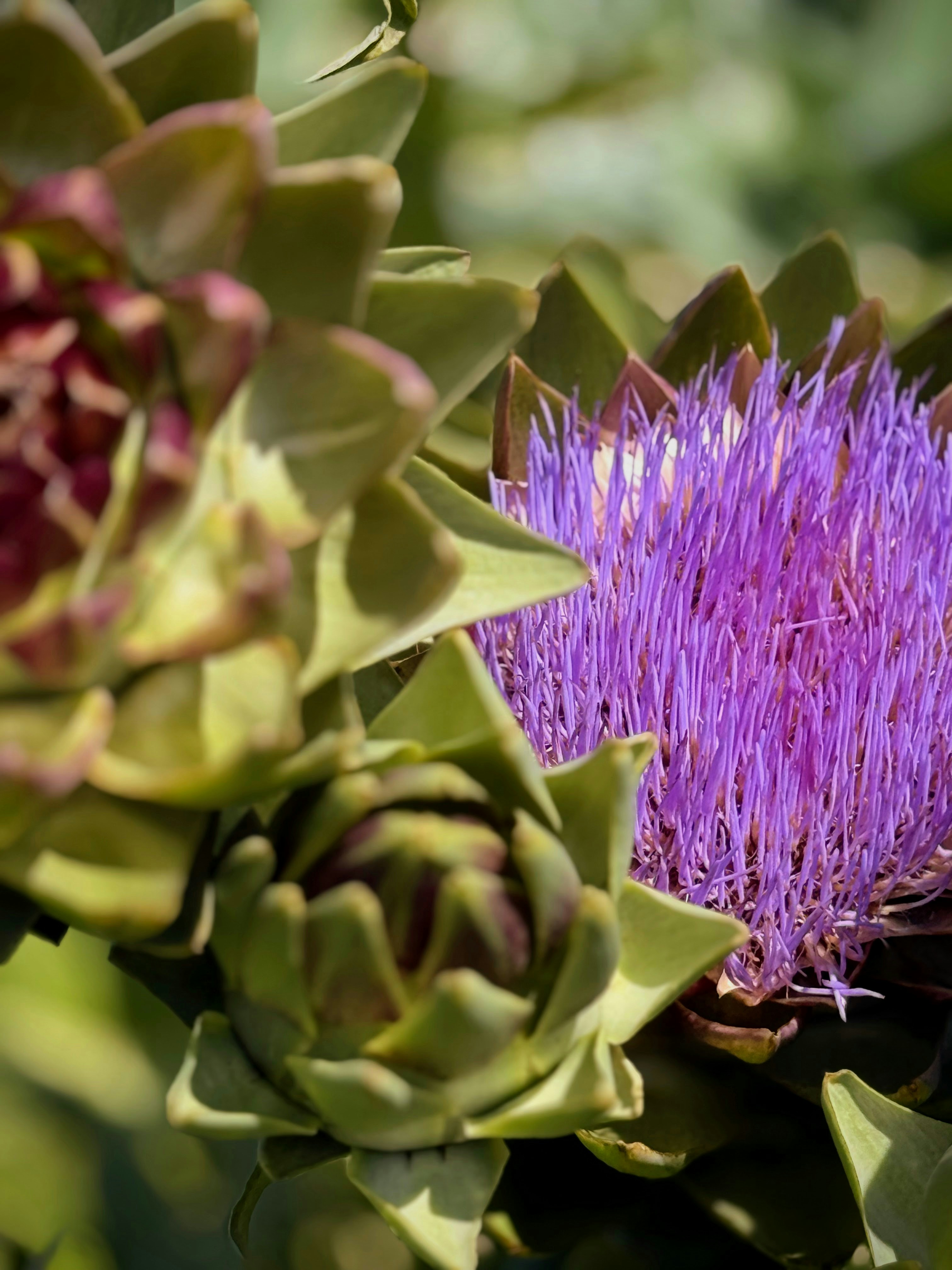 Jay Dee (@jdharris) | Unsplash Photo Community