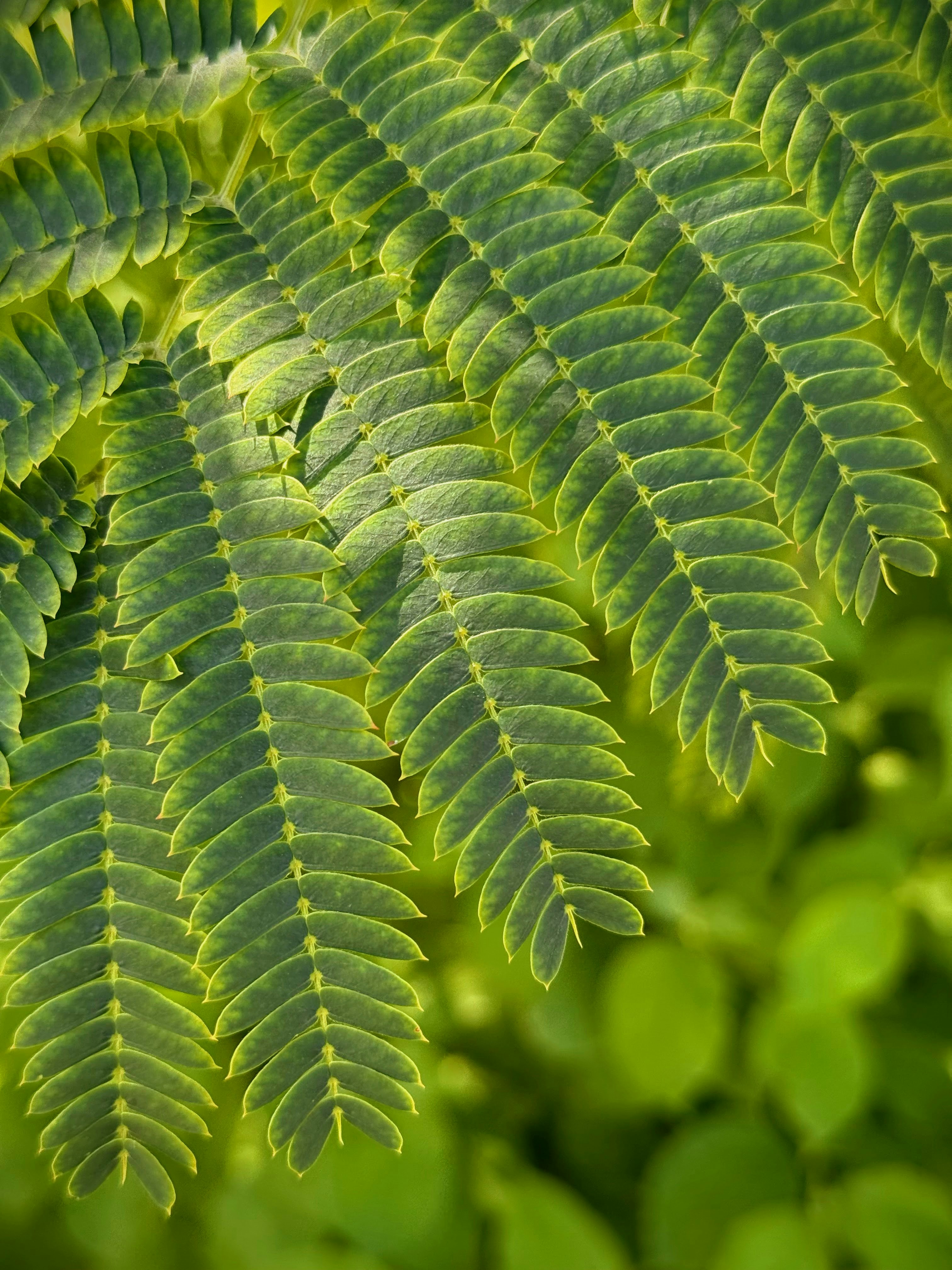 Jay Dee (@jdharris) | Unsplash Photo Community