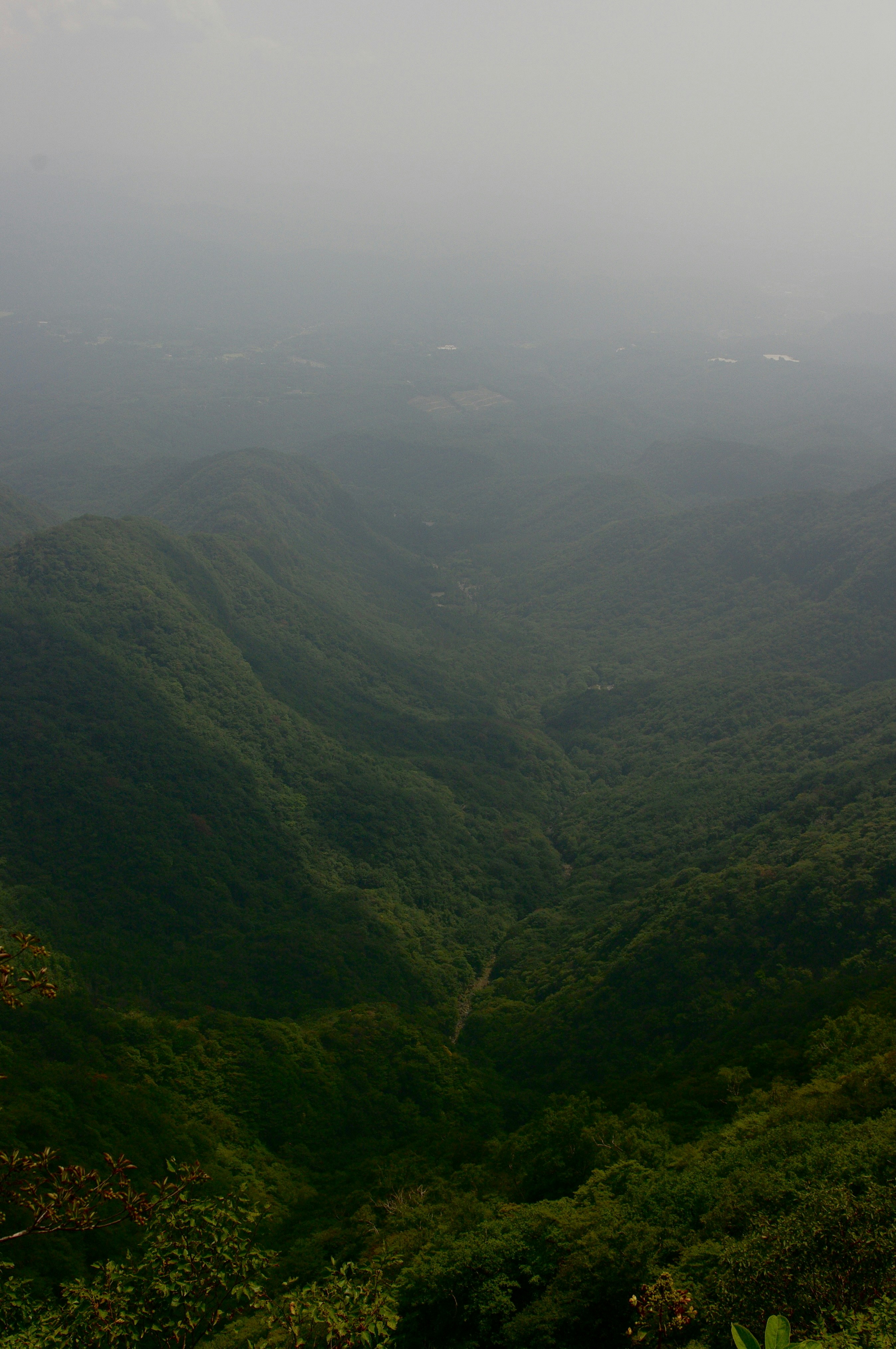 A view of forest-covered mountain ridges fading into the misty horizon. | Misty green valley with winding road below