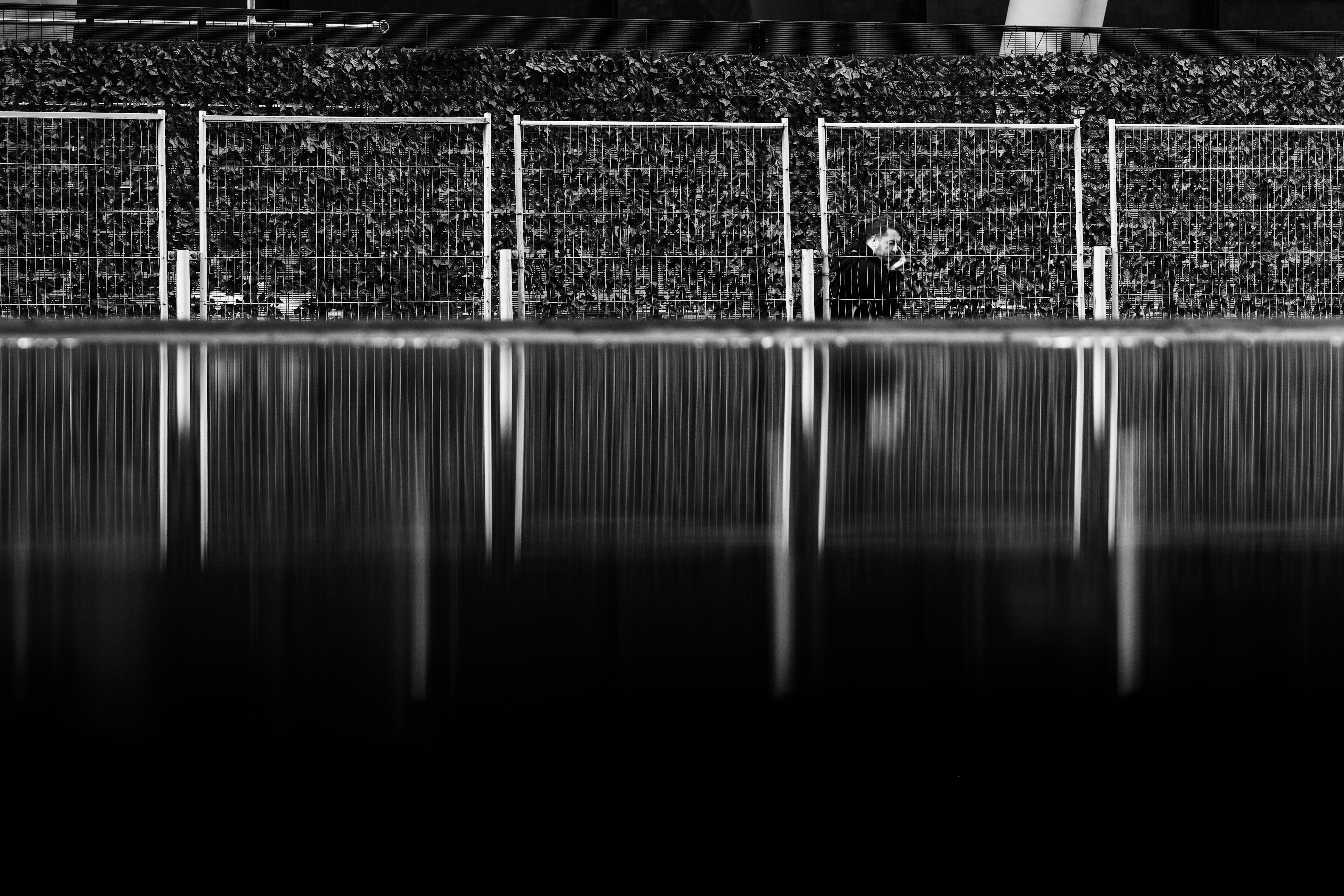 Reflections of Solitude