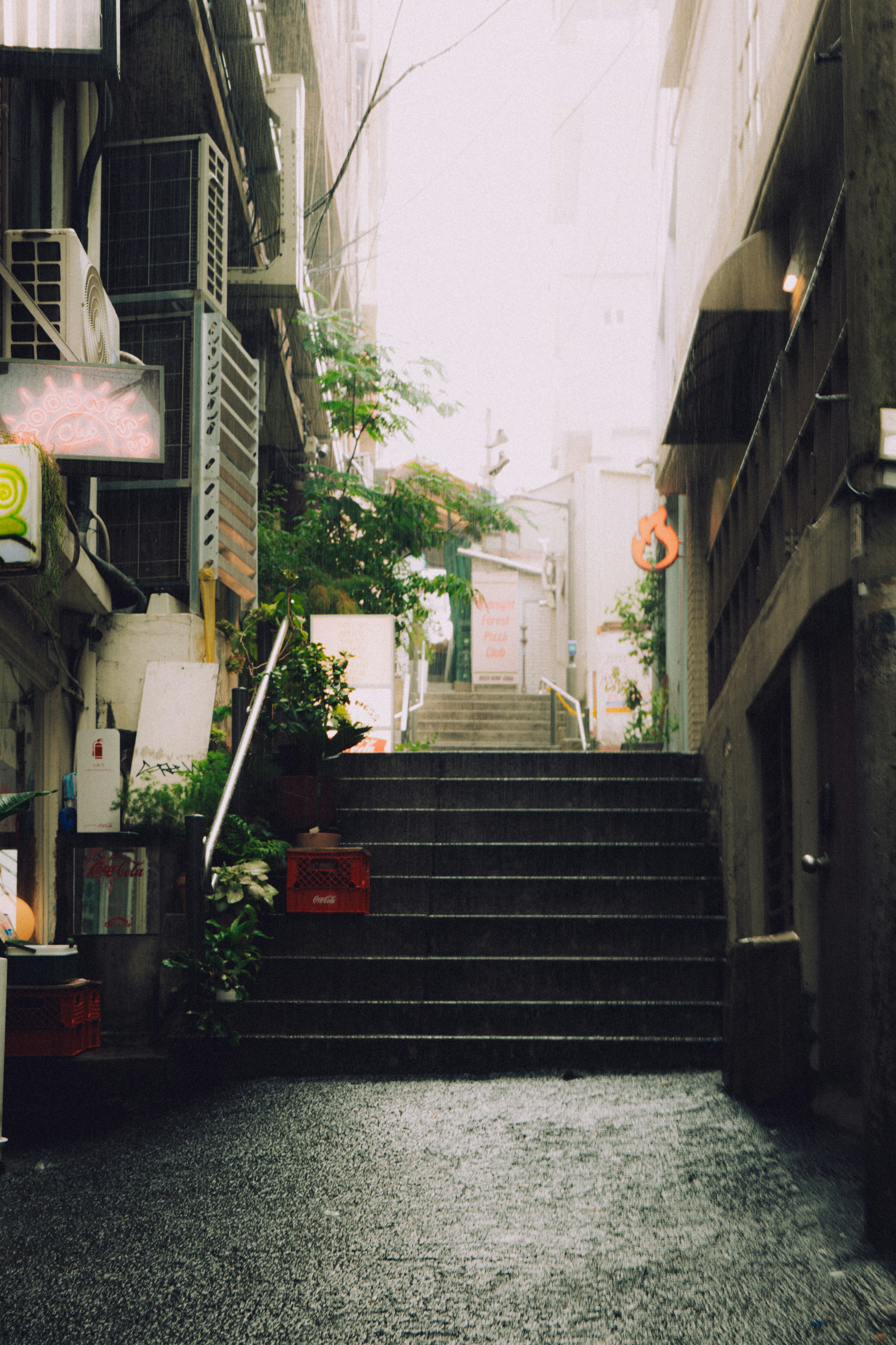 Narrow urban alleyway adorned with greenery and illuminated signs, leading to a staircase. The atmosphere is soft and inviting.