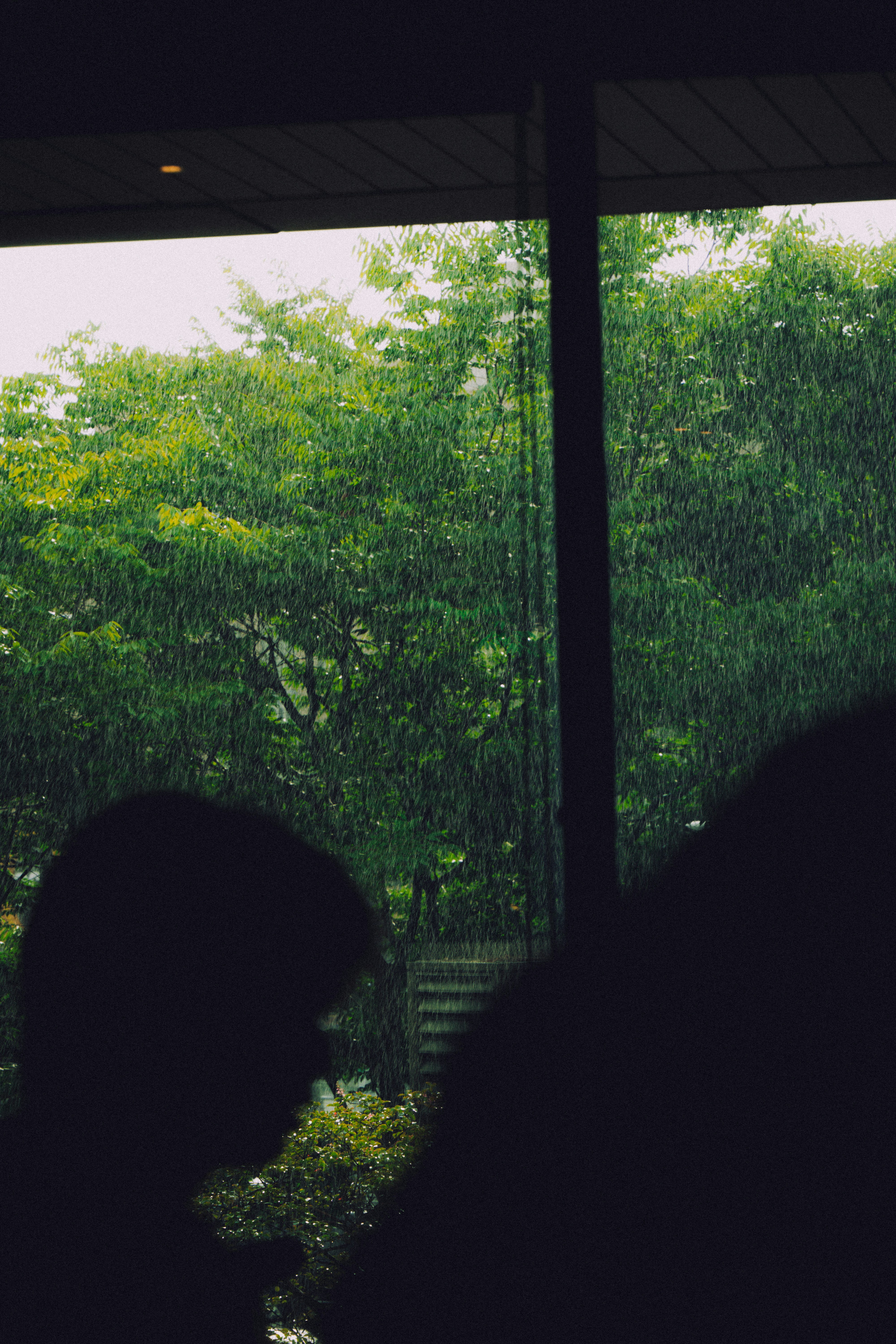 Rain falling on trees seen through a window