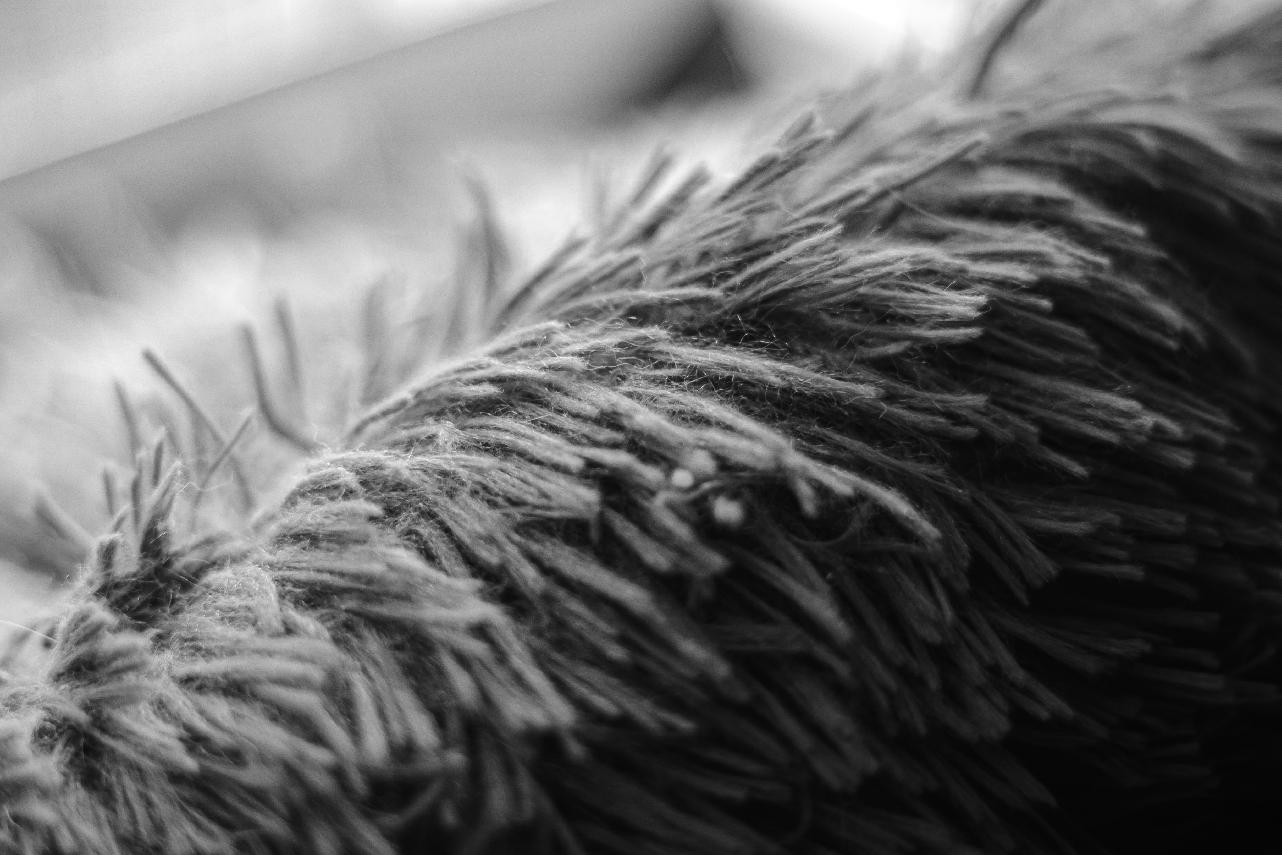 Close-up of shaggy textured fabric in black and white