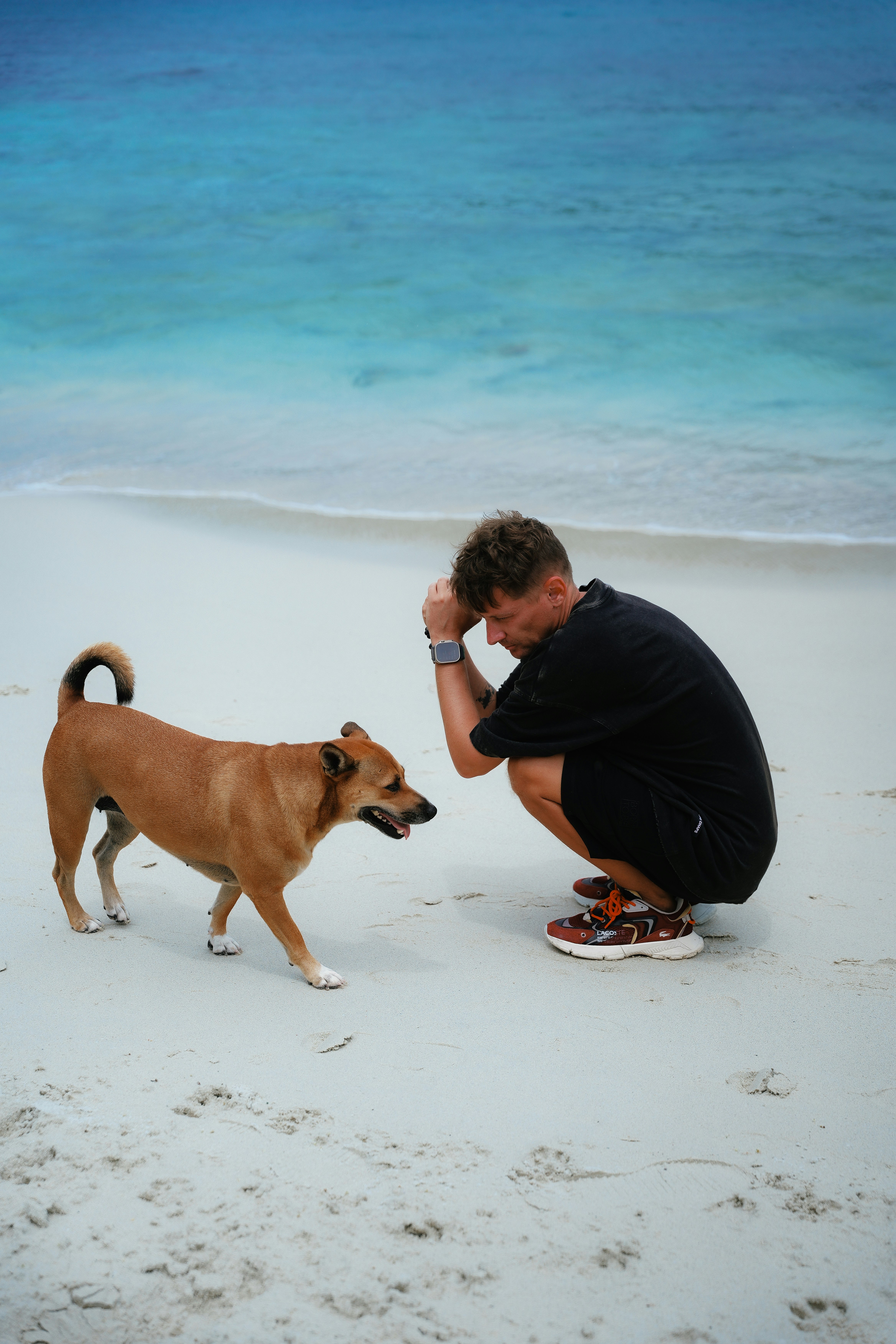 A man squatting on the white sand playing with a brown dog near turquoise water, tropical beach background. | Man crouching on beach talking to a dog