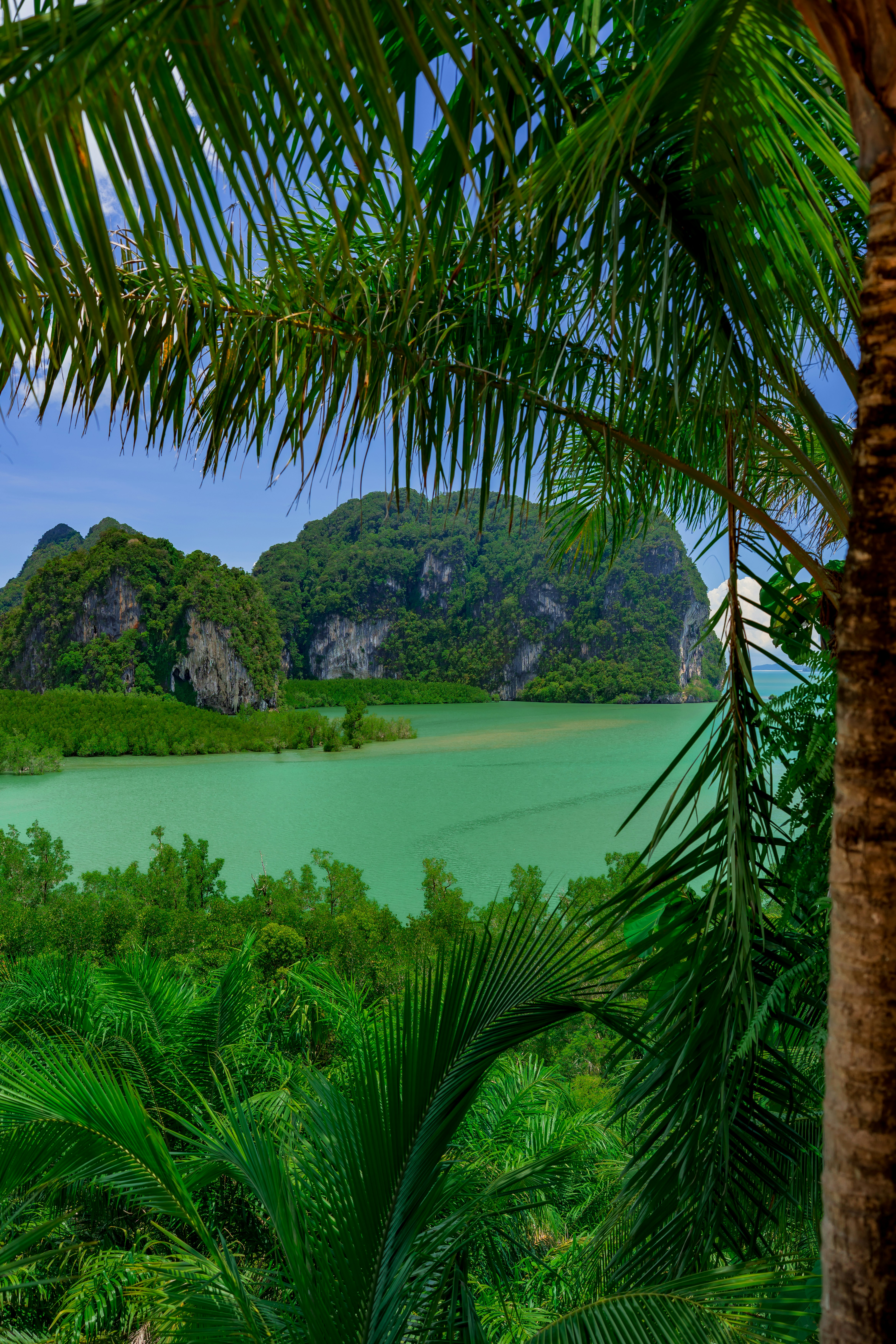 Emerald Inlet Framed by Tropical Fronds and Limestone Peaks