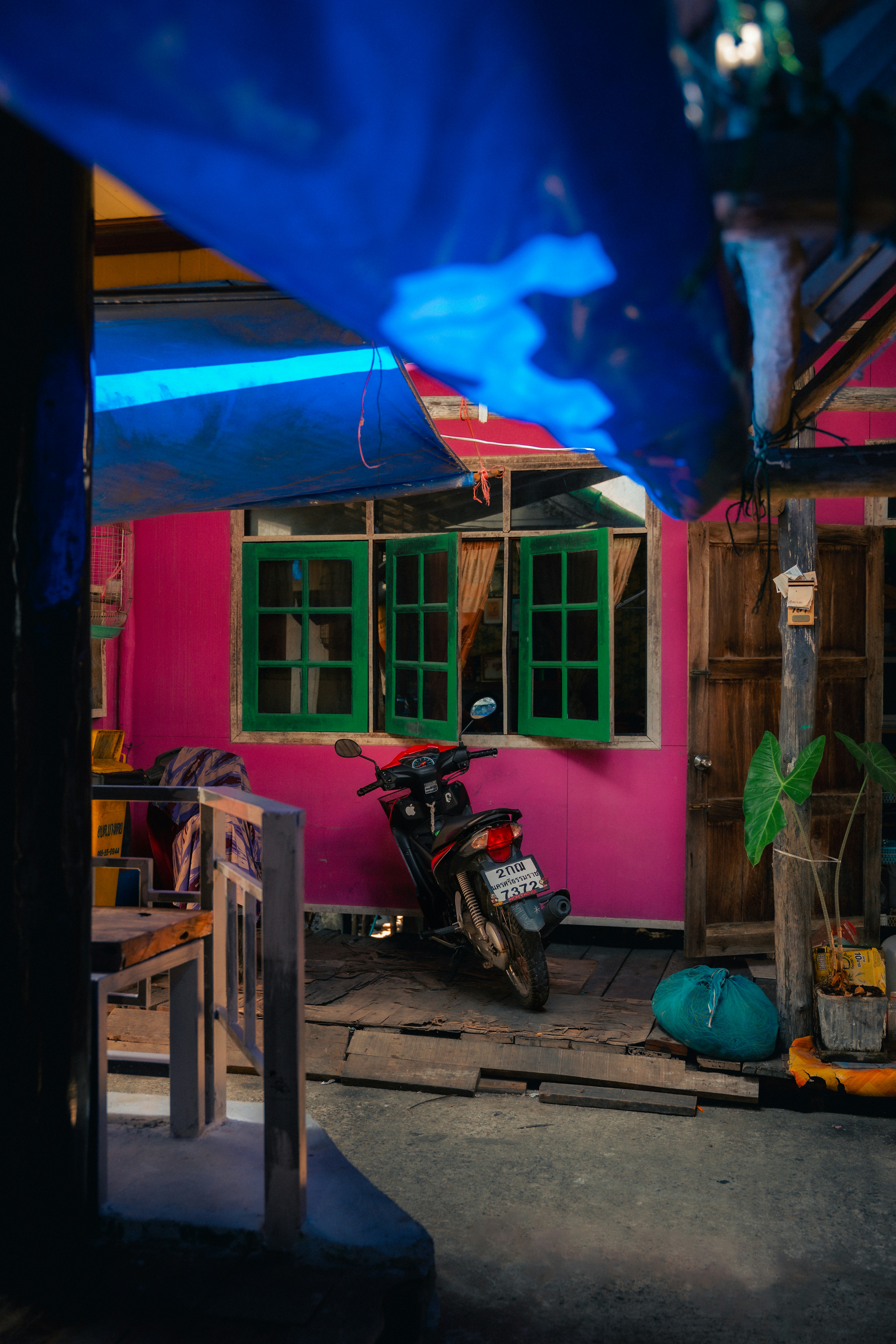 Vibrant Hideaway: A Glimpse into Urban Life
