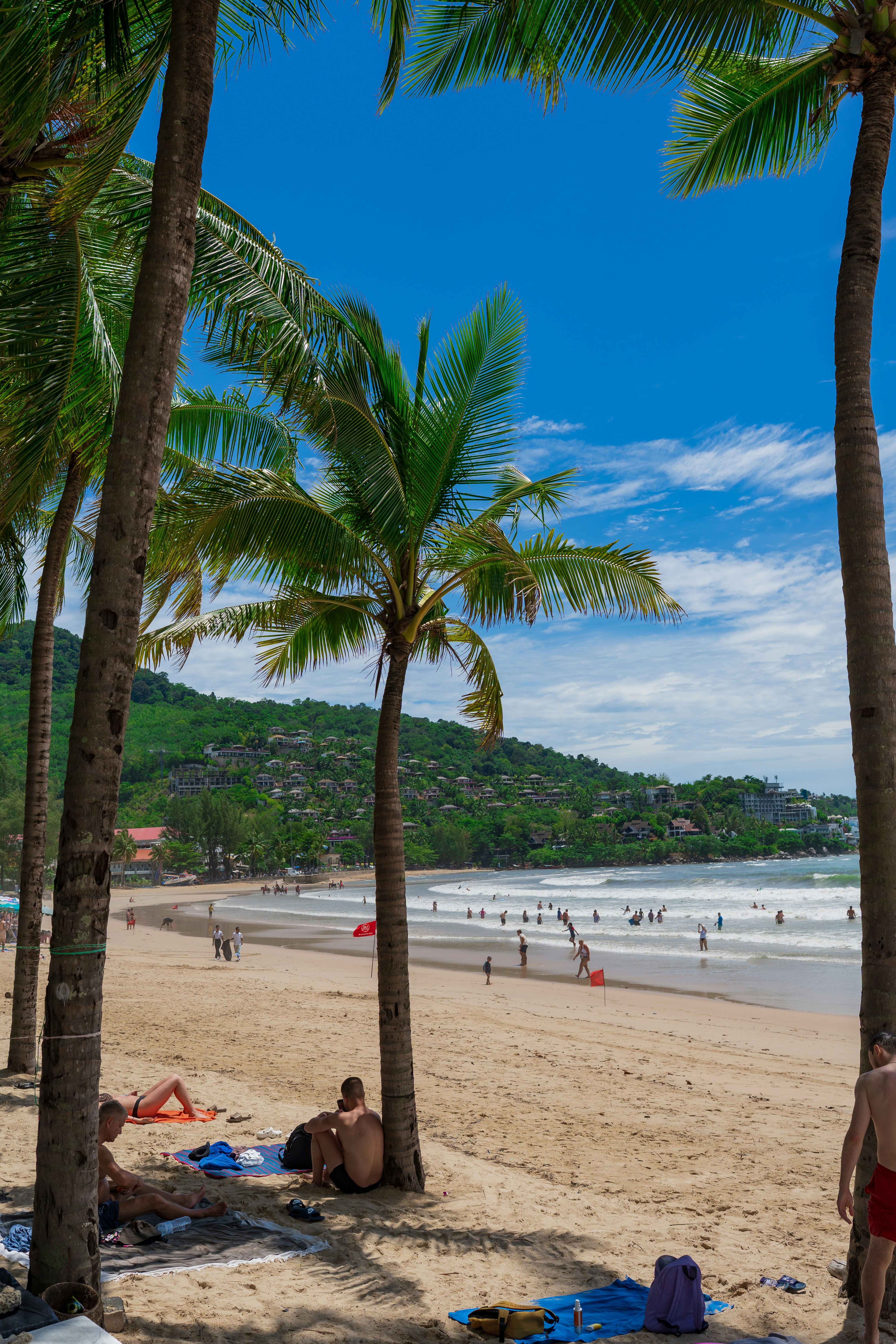 Tropical Serenity: A Day at the Shore