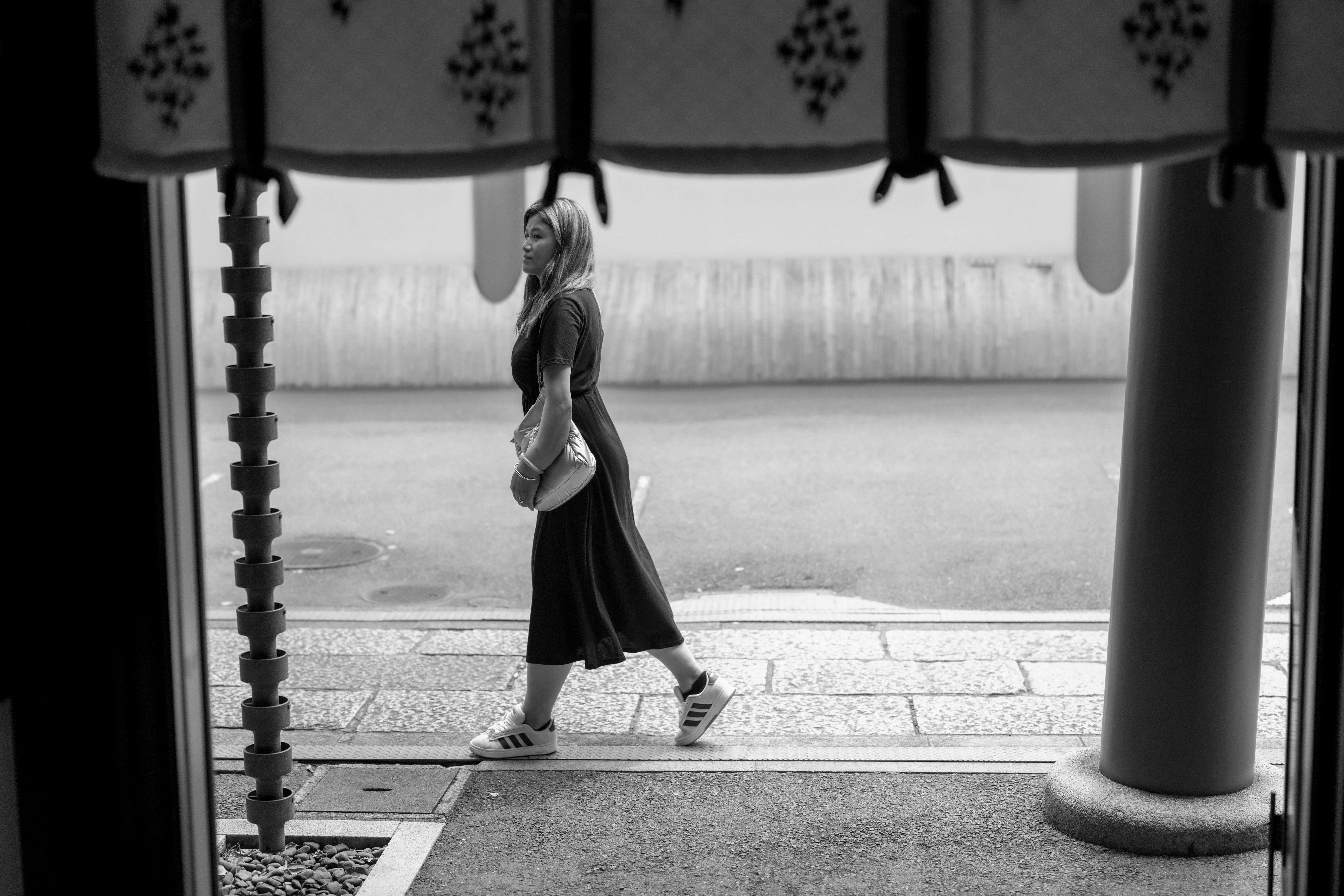 A Serene Stroll Through Time