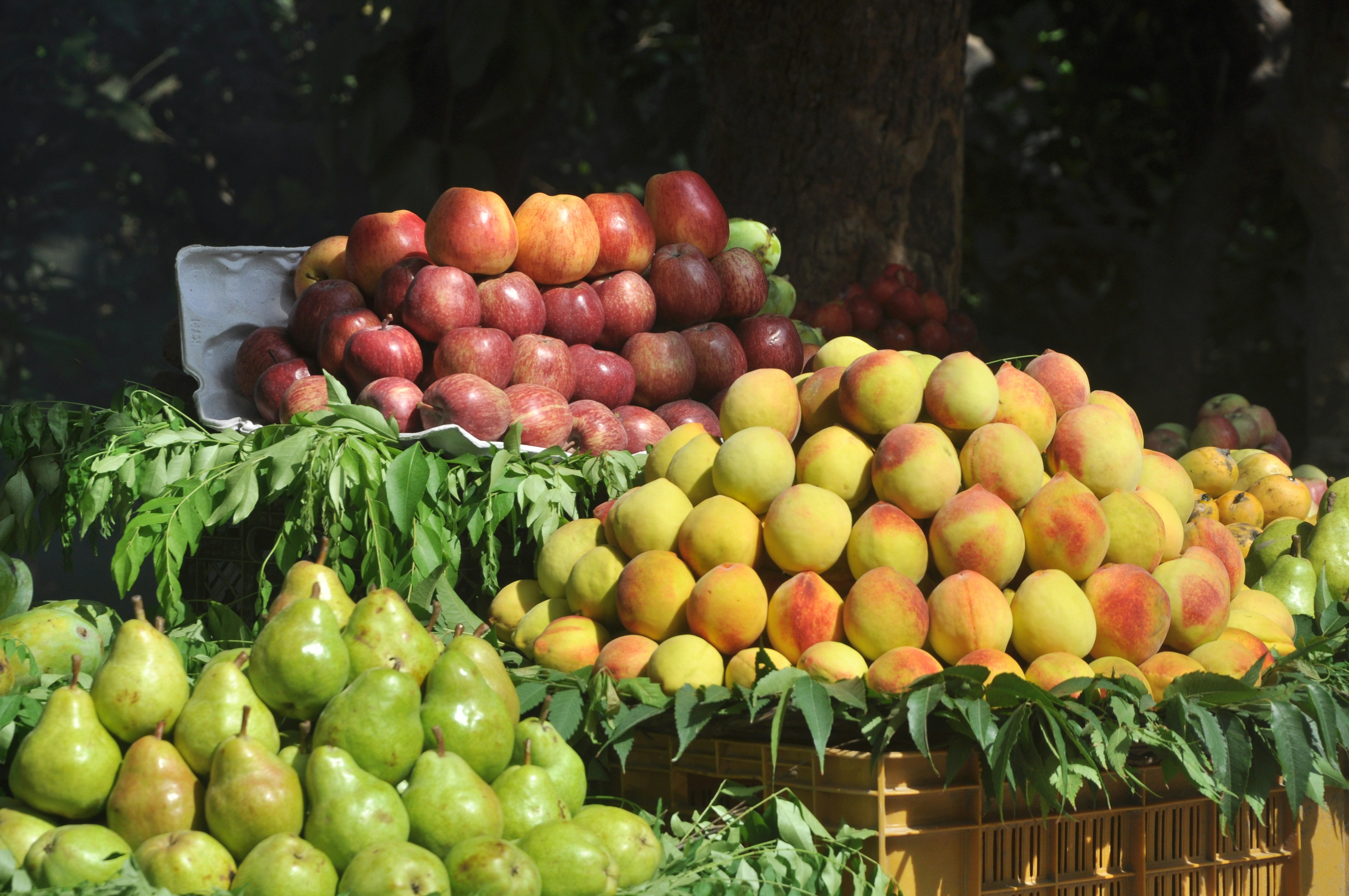 Fruit shop | Fresh apples, peaches, and pears displayed at a market.