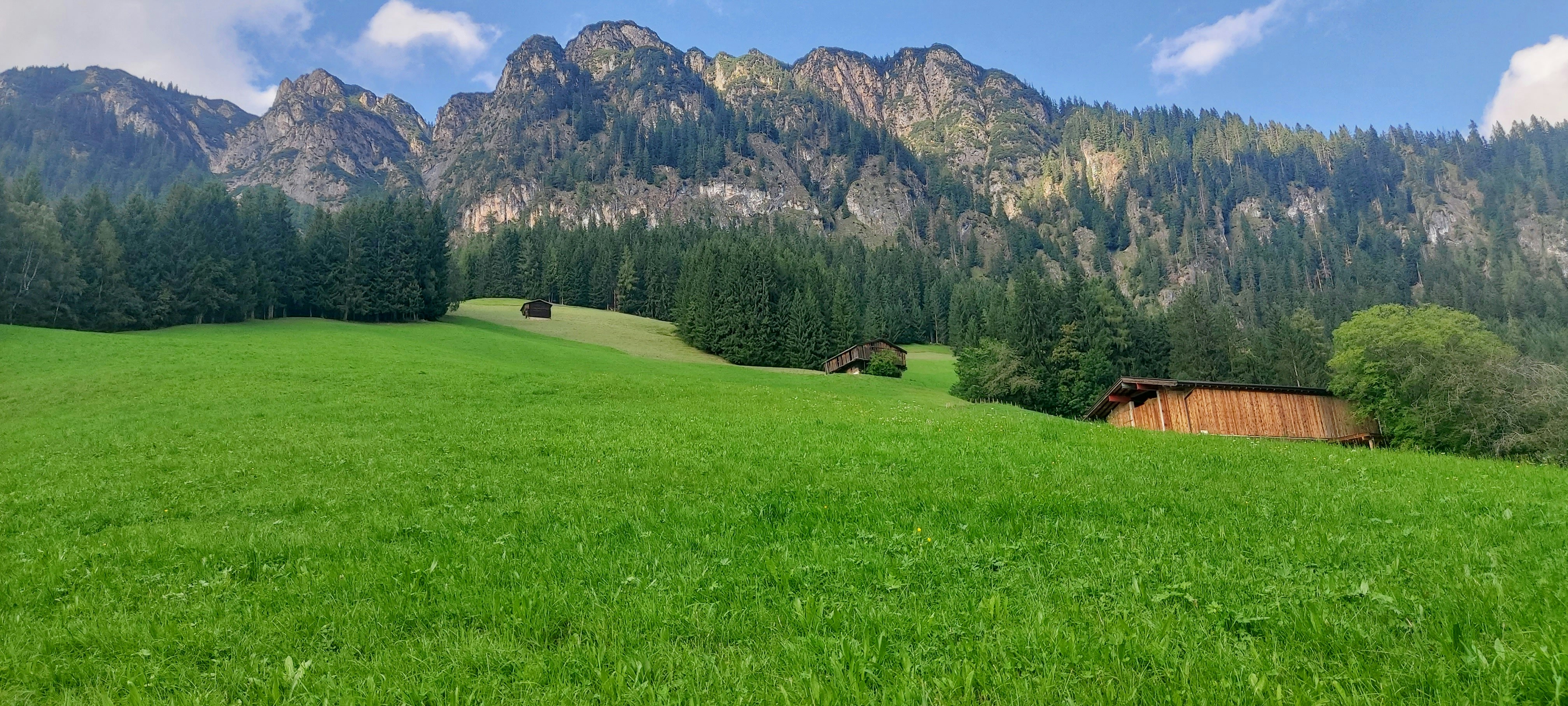 Fritz Walter (@8451gutzie) | Communauté photos Unsplash