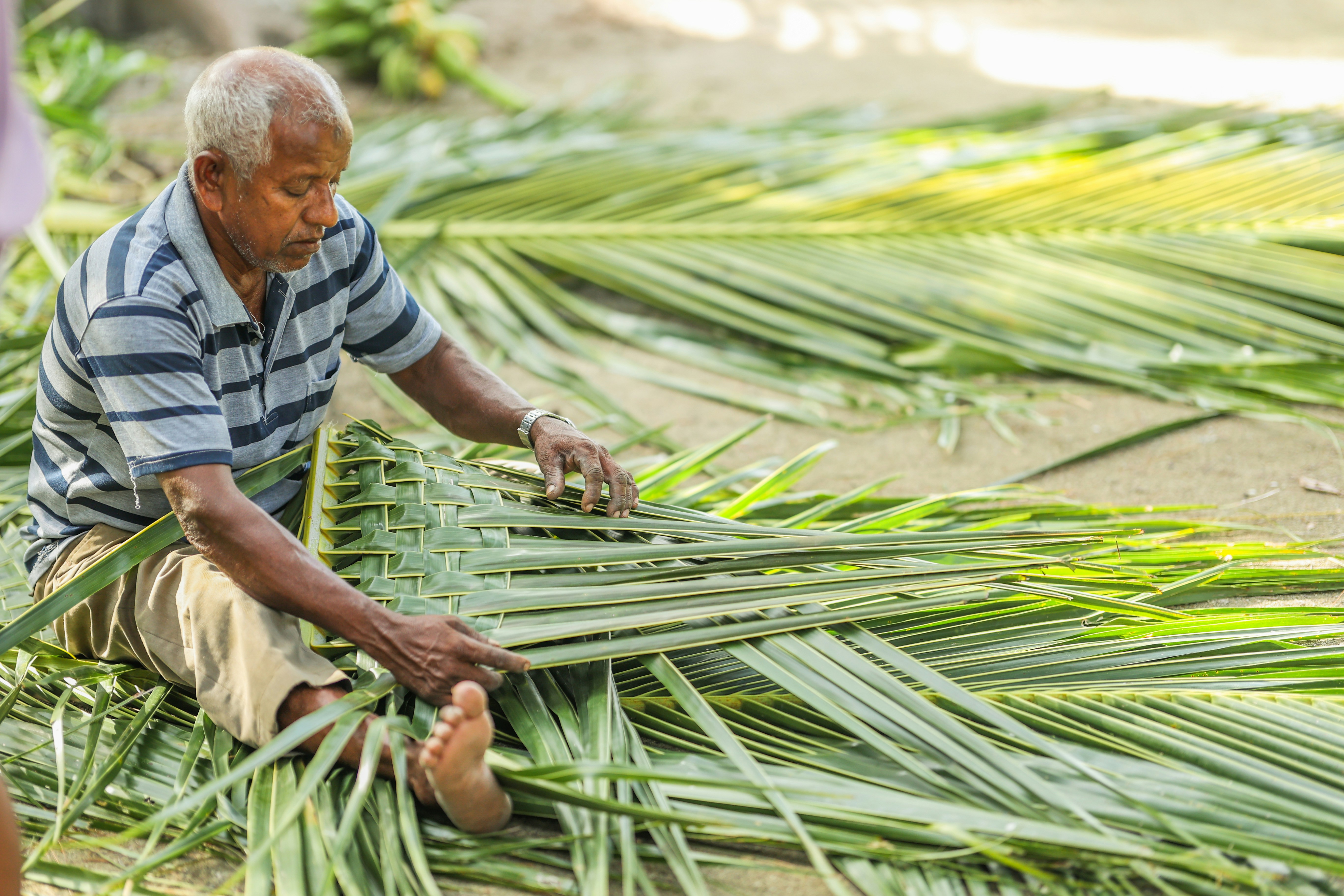 Crafting Calm: Elderly man weaving palm fronds into shelter
