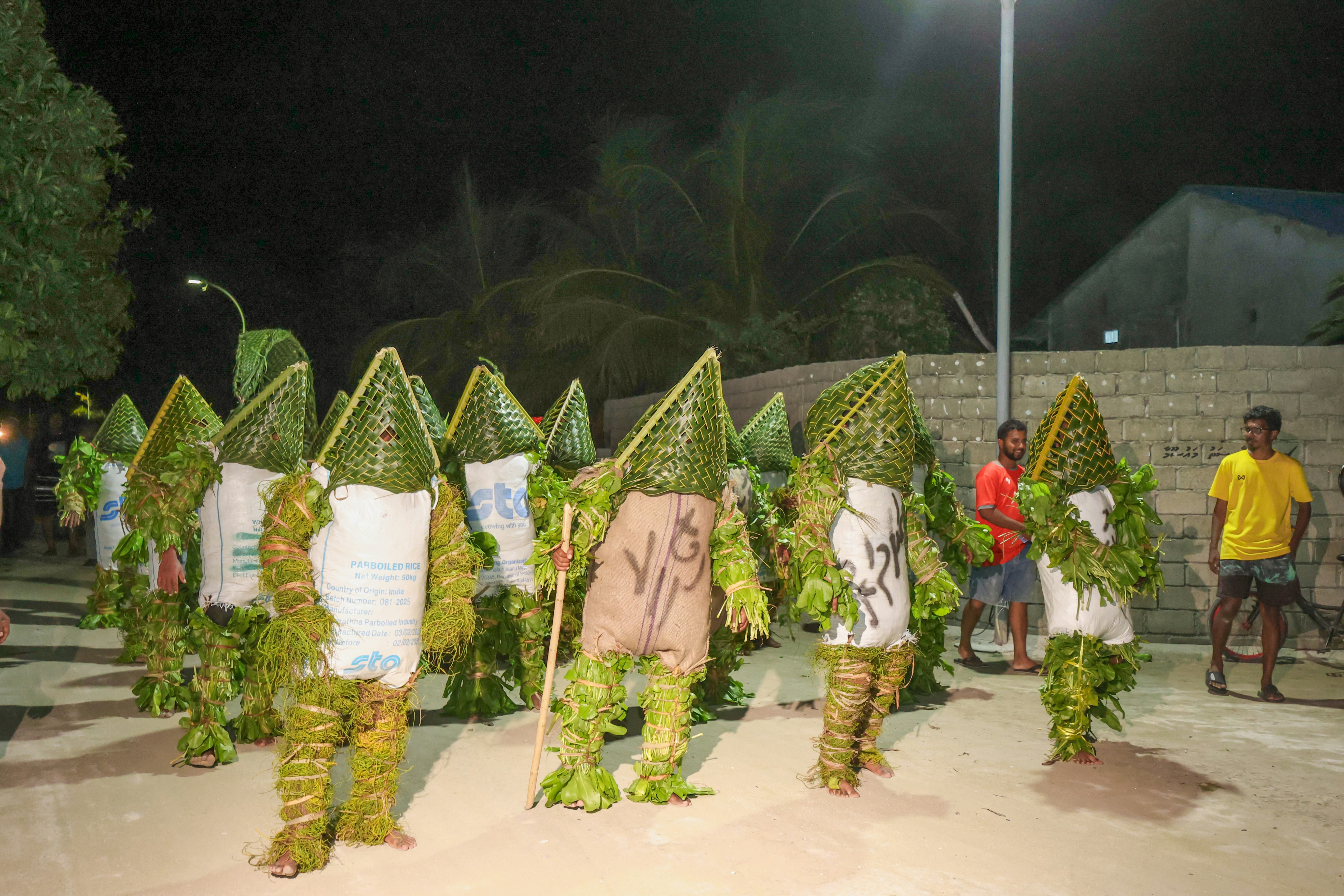 Cultural Revelry Under the Night Sky