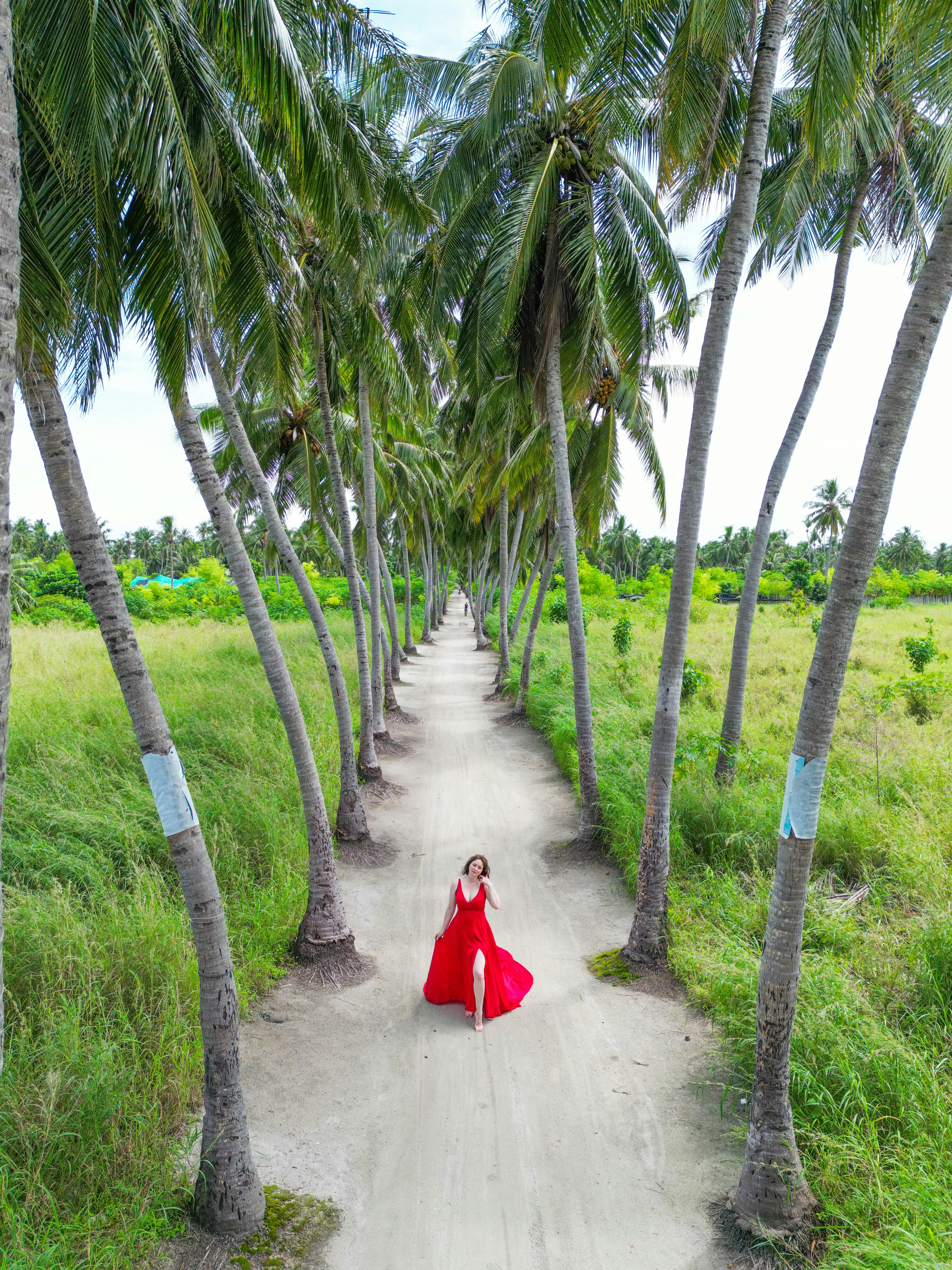 Woman in red dress walks down palm tree lined path