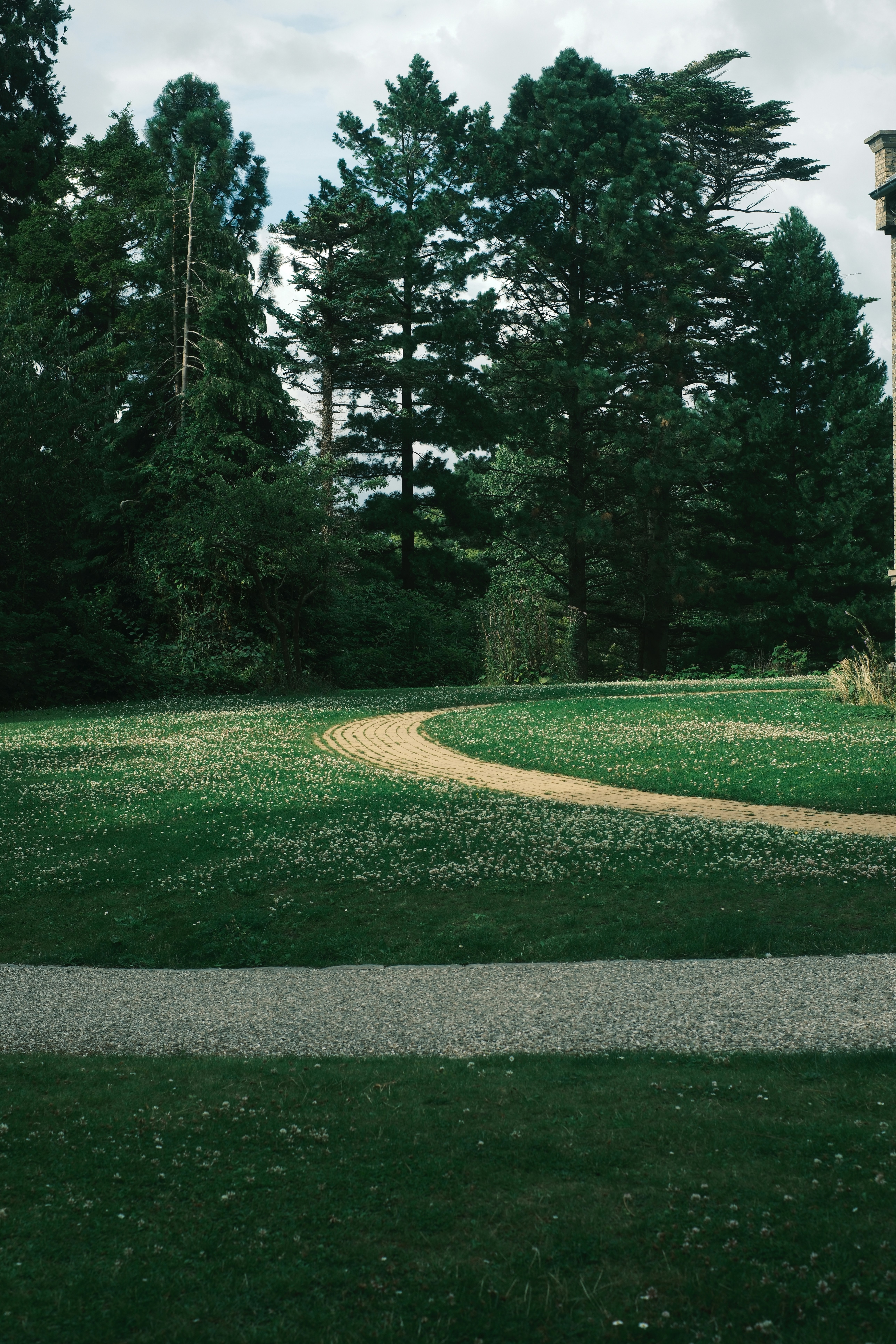 Winding Path Through Nature's Canvas