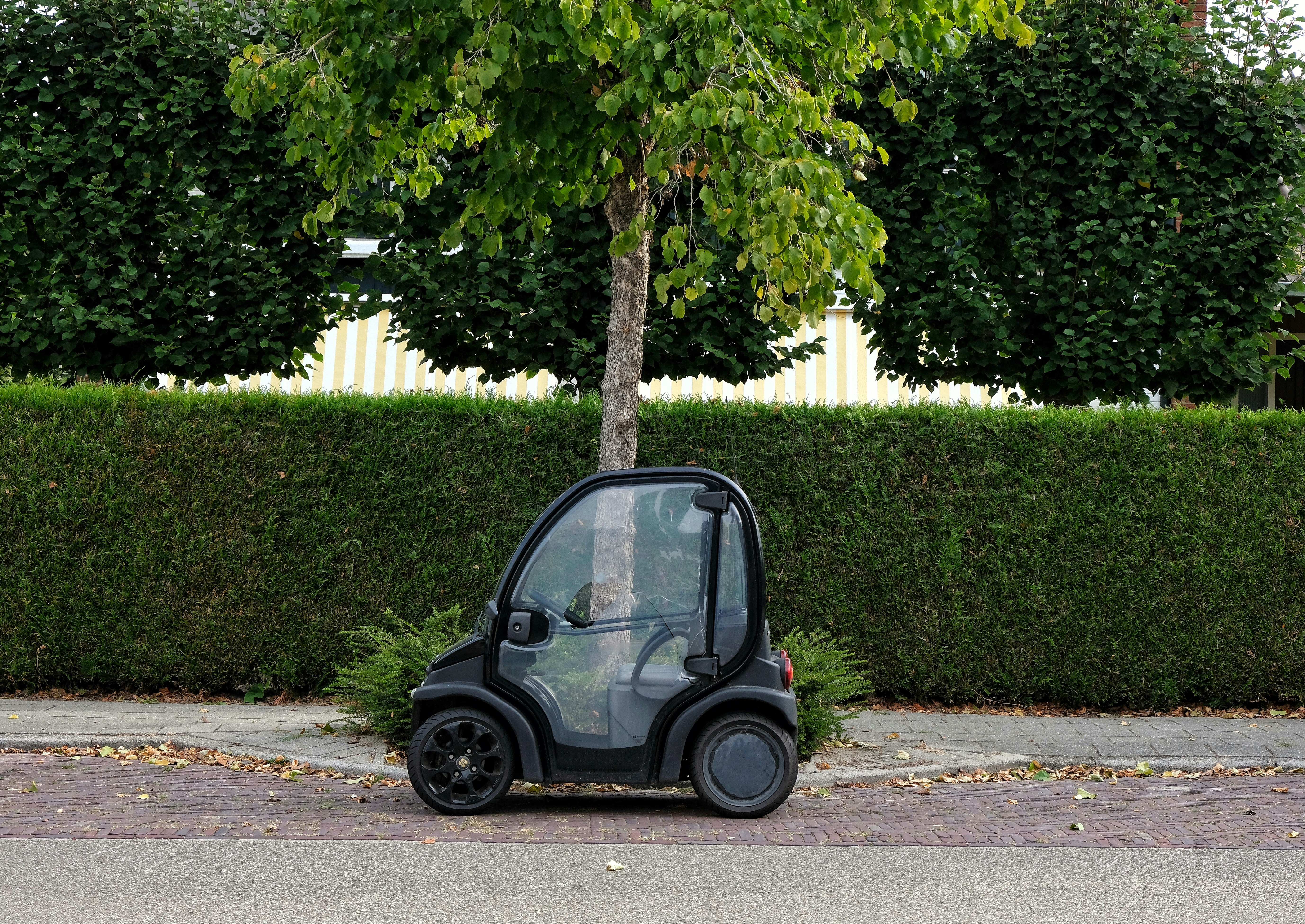 Urban Compact: A Blend of Nature and Innovation