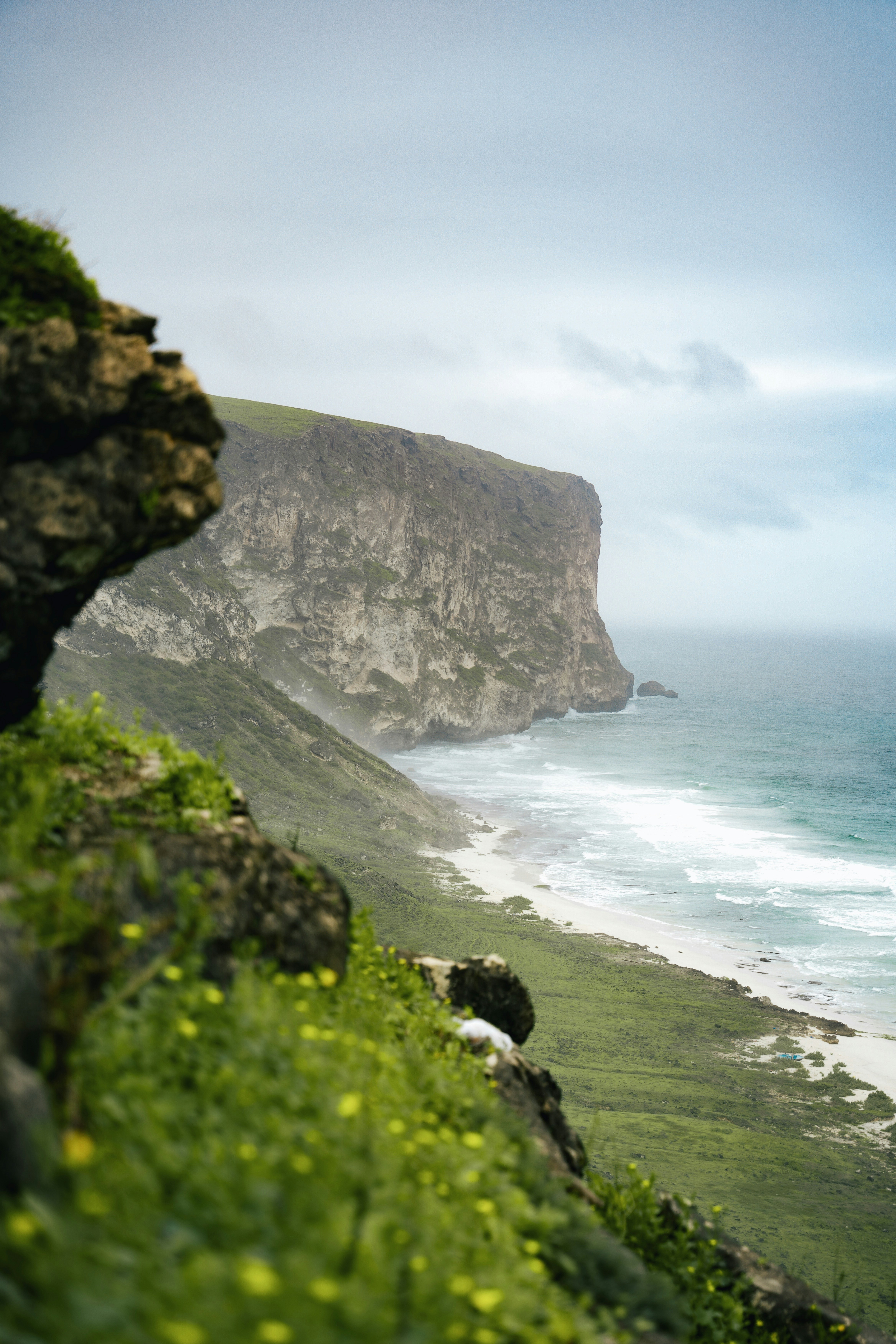 Whispers of the Coastline: A Serene Encounter