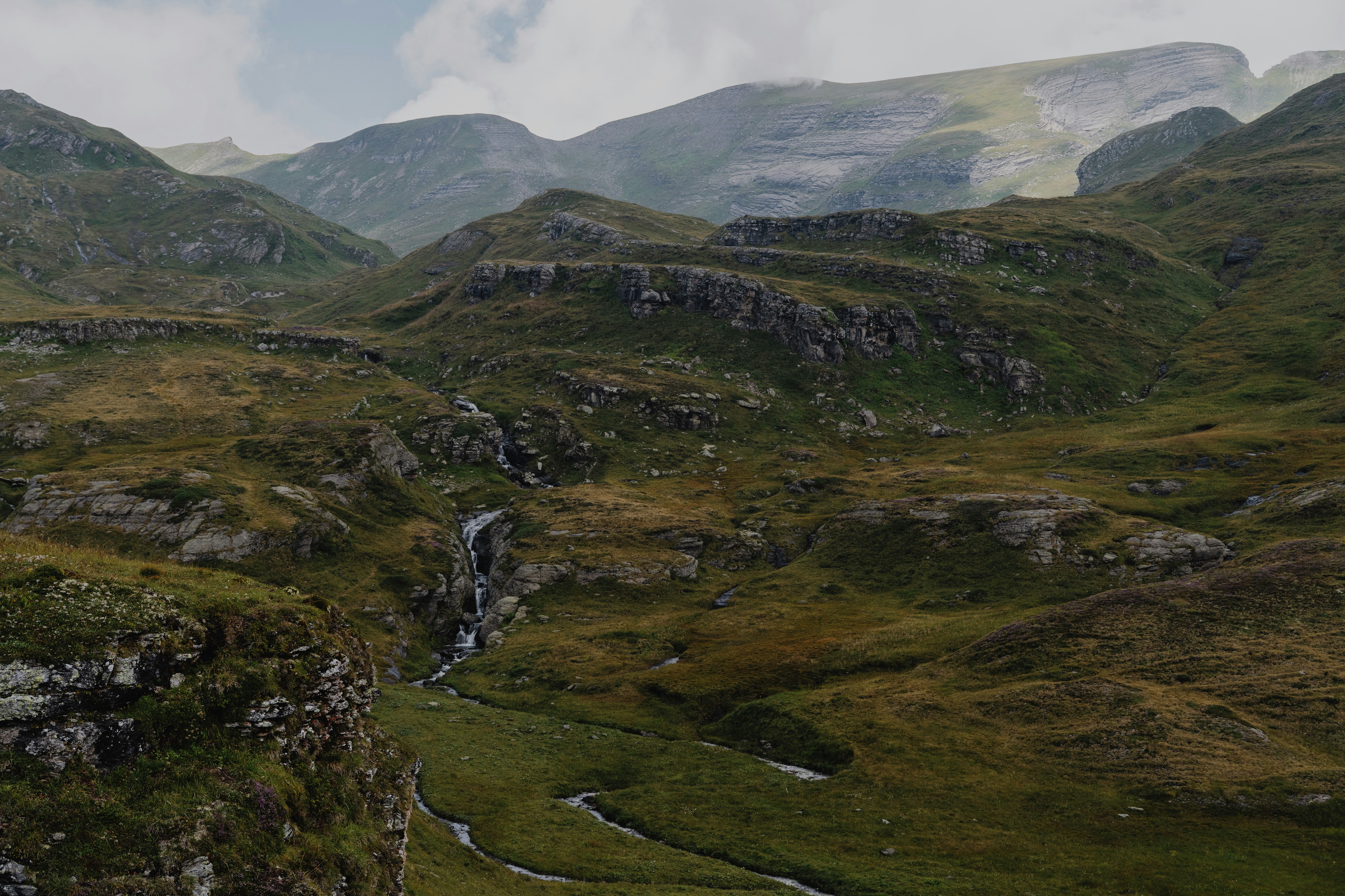 Rivulets Thread the Quiet Highlands