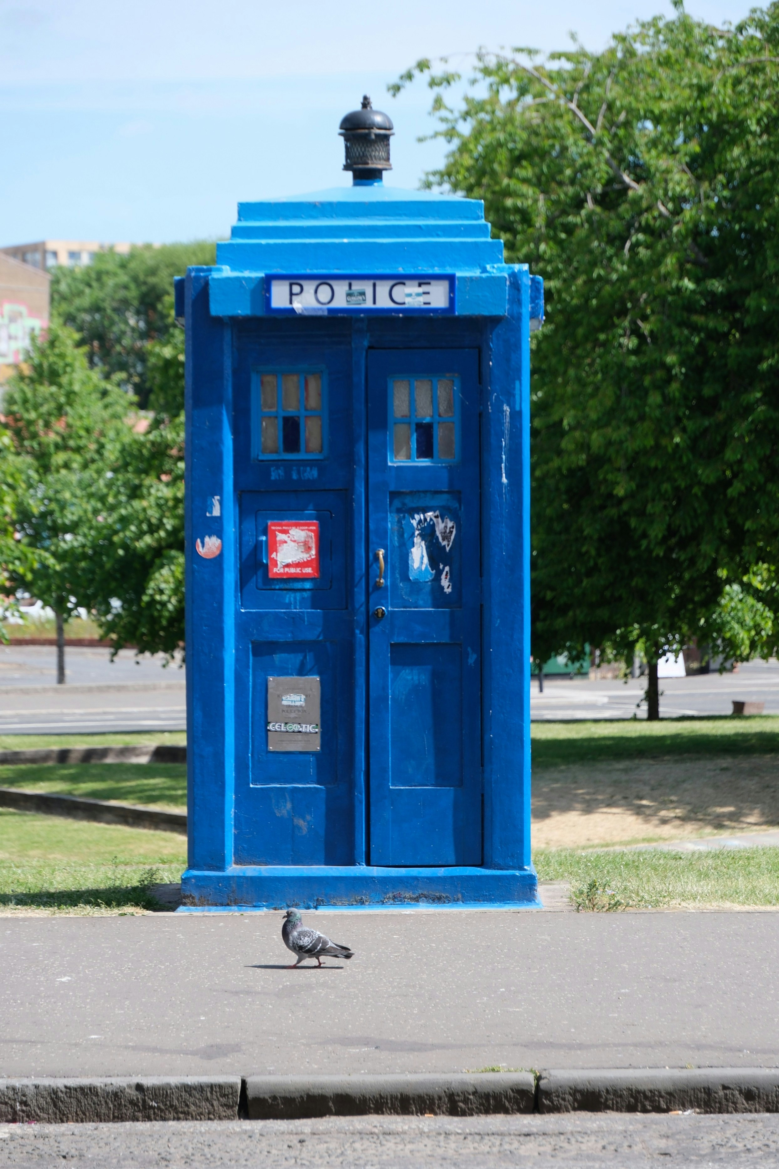Iconic blue police box stands amidst lush greenery, with a pigeon casually strolling nearby.