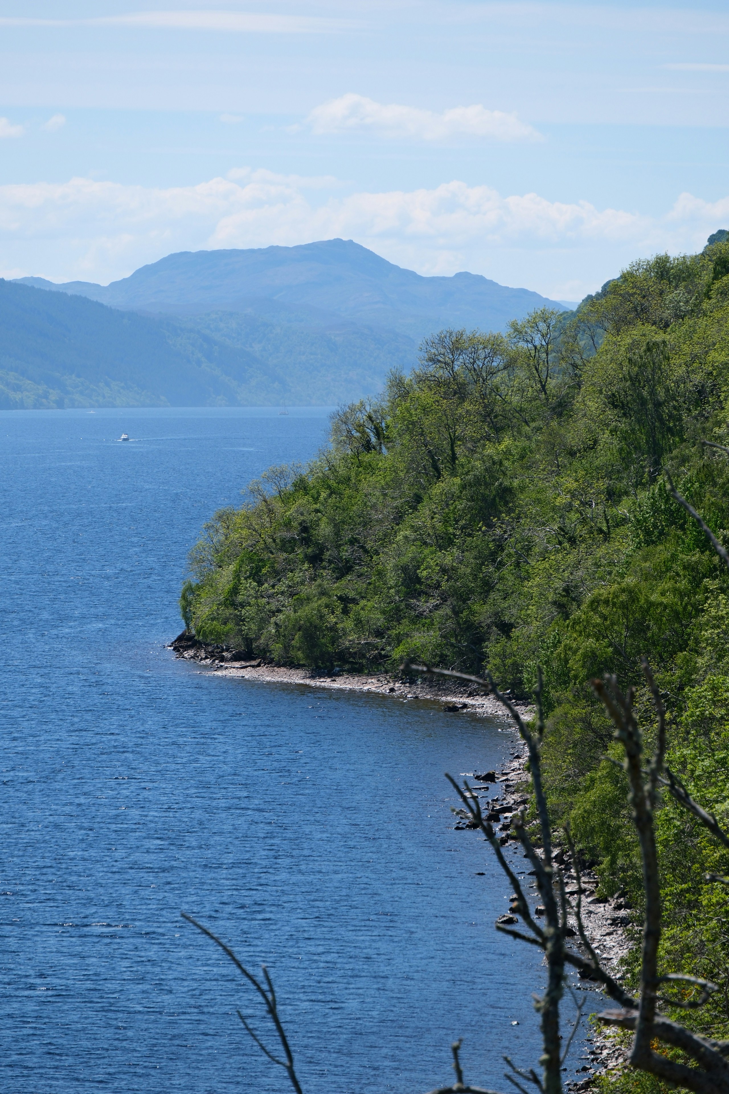 Lush greenery lines the tranquil shores of a lake, with distant mountains softly fading into the horizon under a clear blue sky.