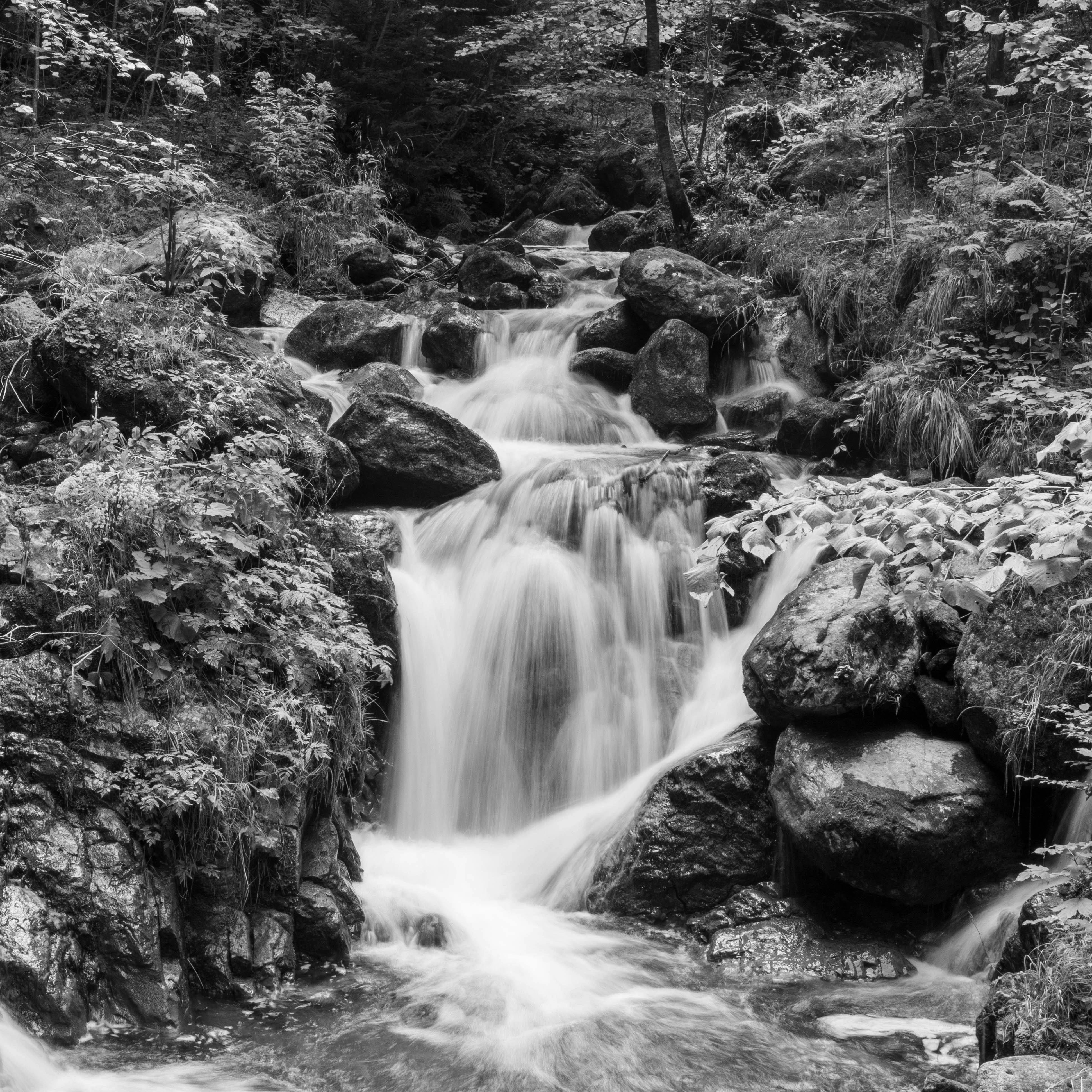 Flow | A serene waterfall flows through a rocky forest stream