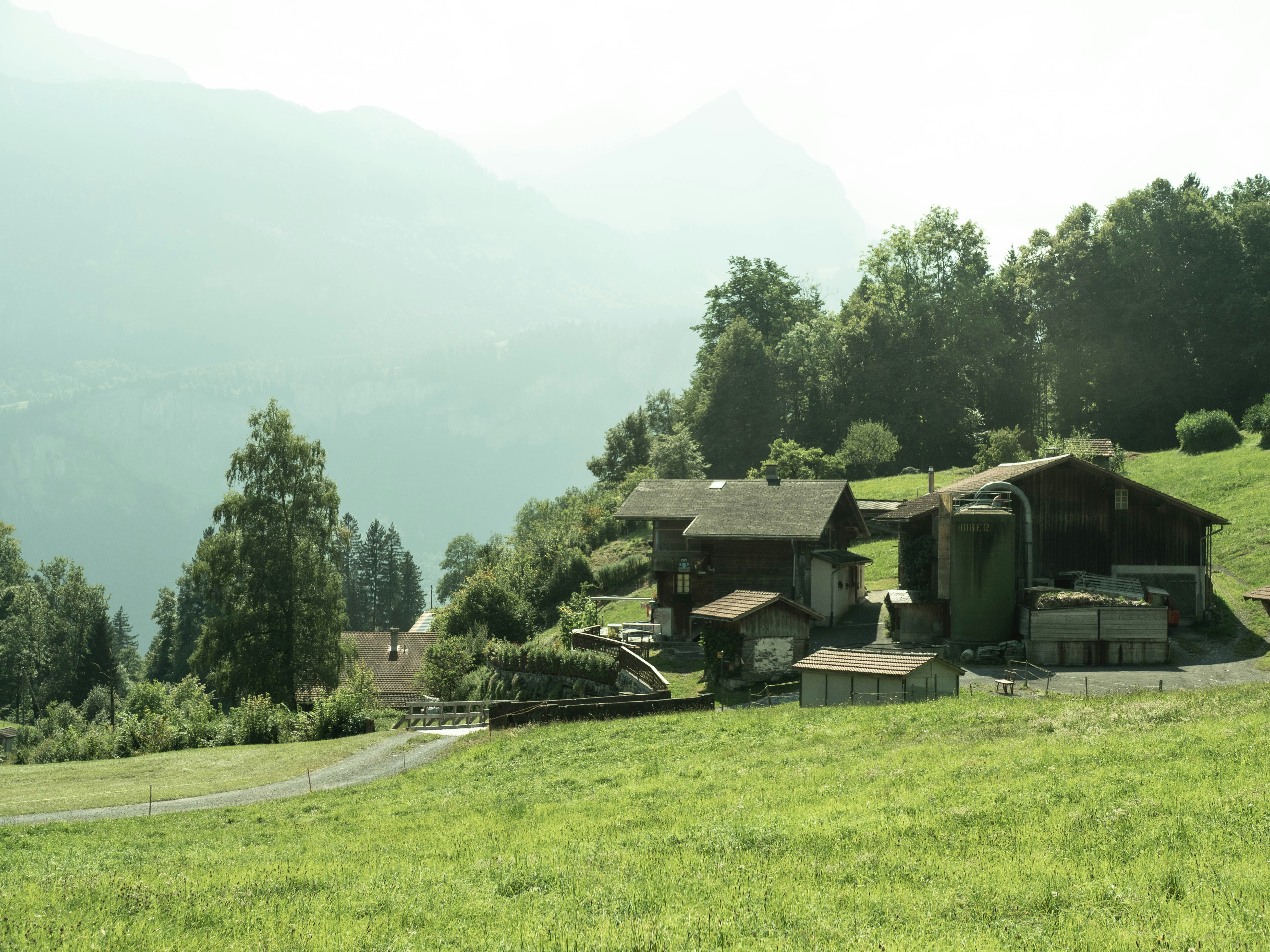 Grass Blender | Farm buildings nestled in a green mountain landscape.