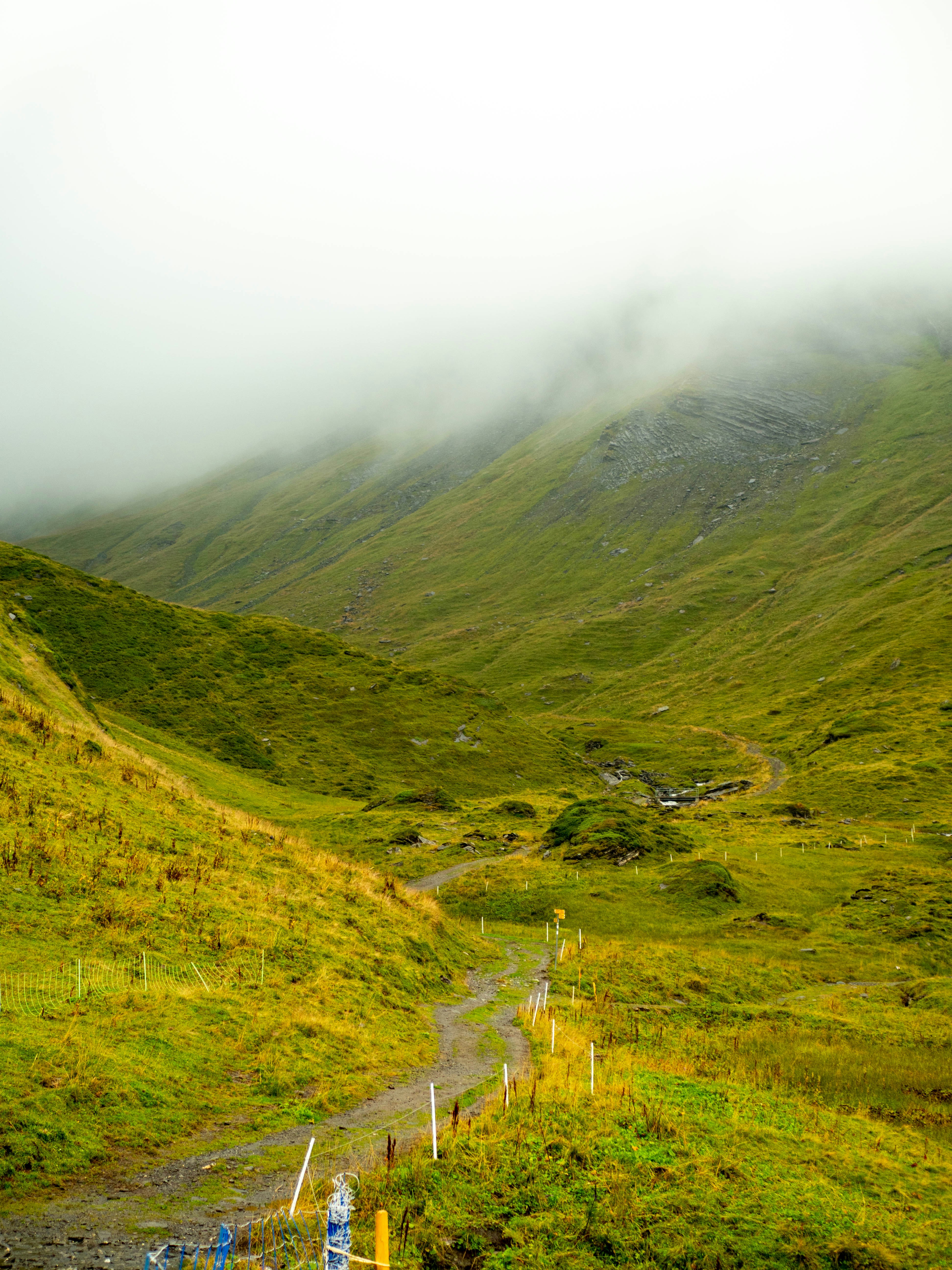 Whispers of the Misty Valley