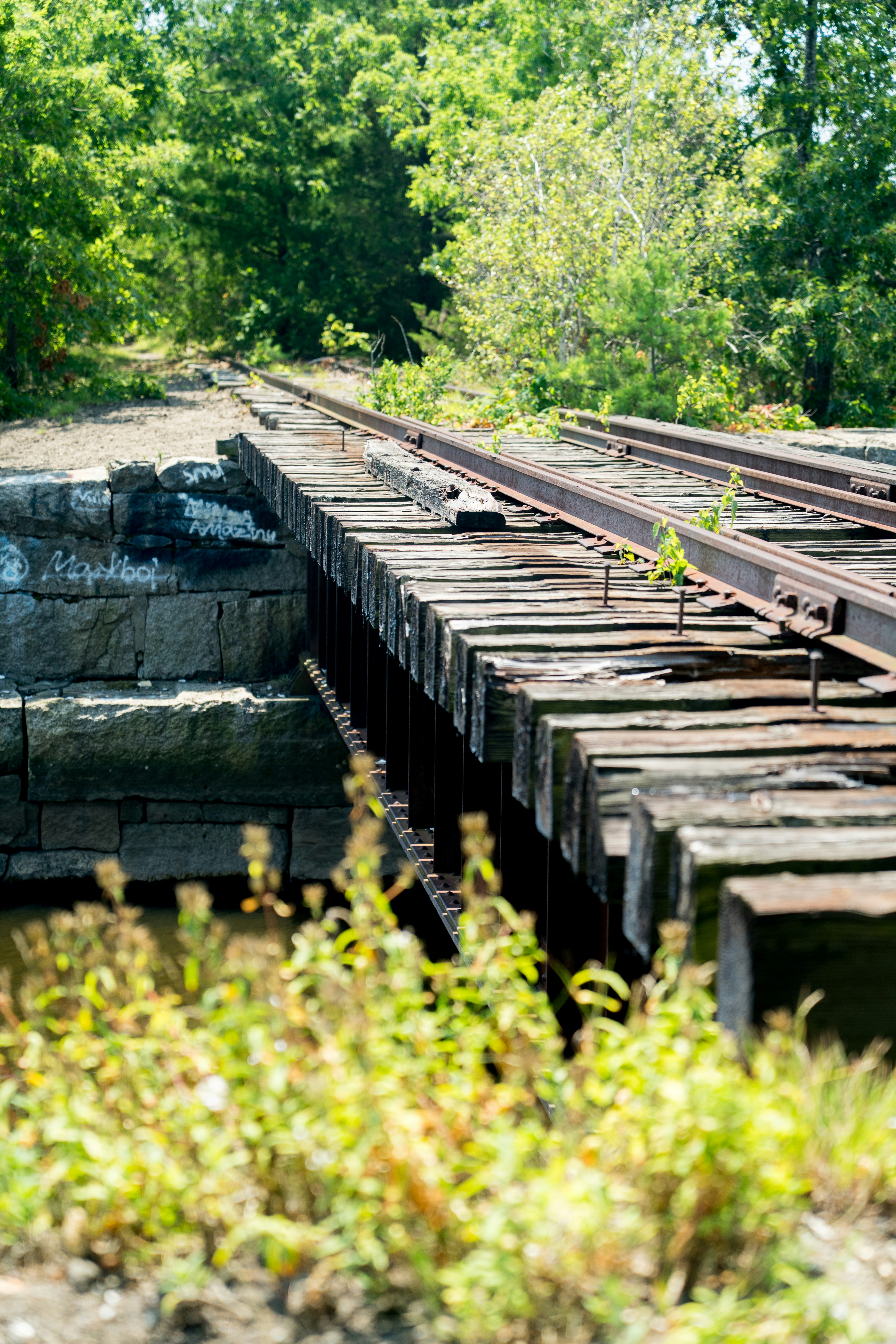 Old wooden railroad bridge over water with overgrown greenery.