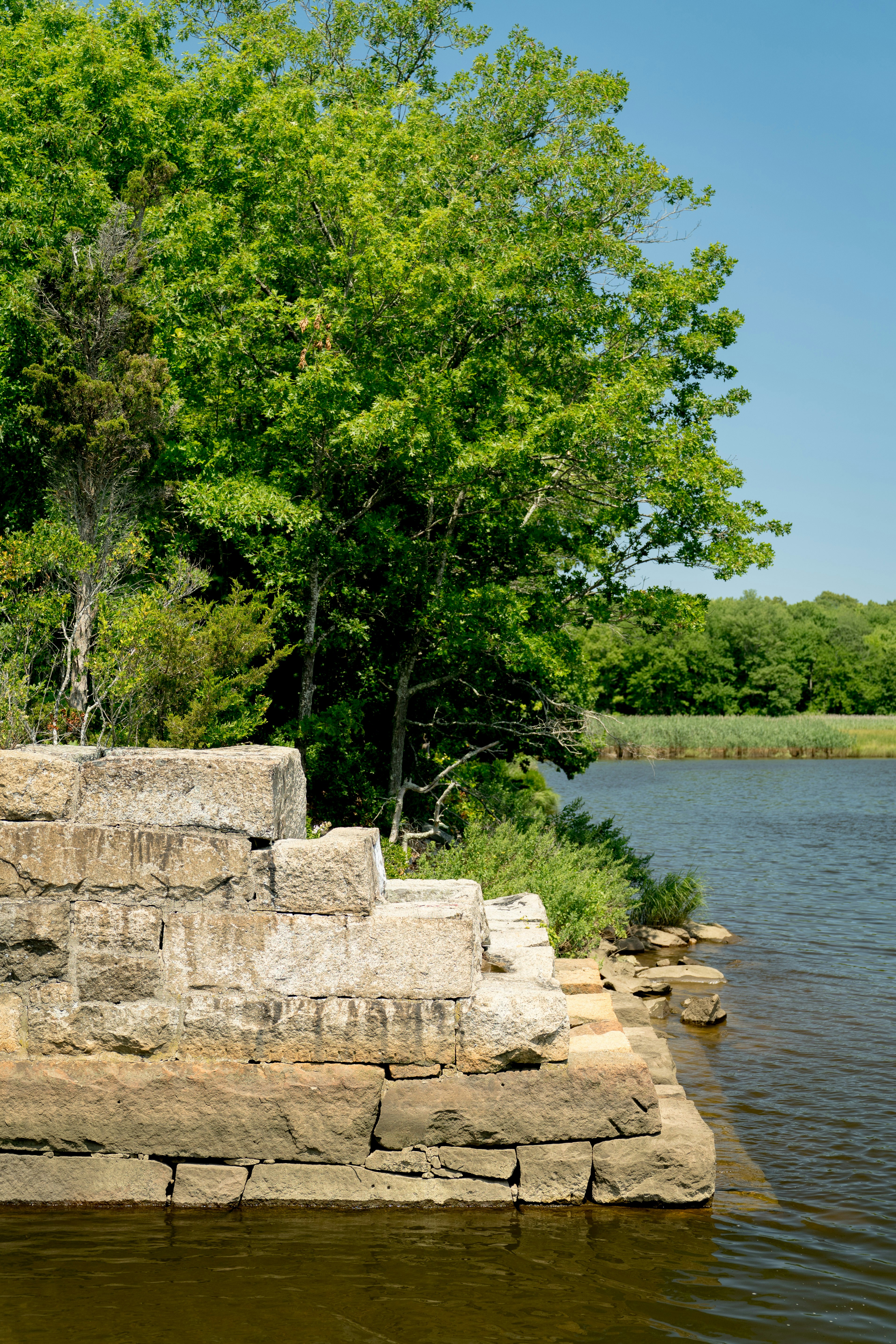 Between Worlds - by Elizabeth Blackthorn