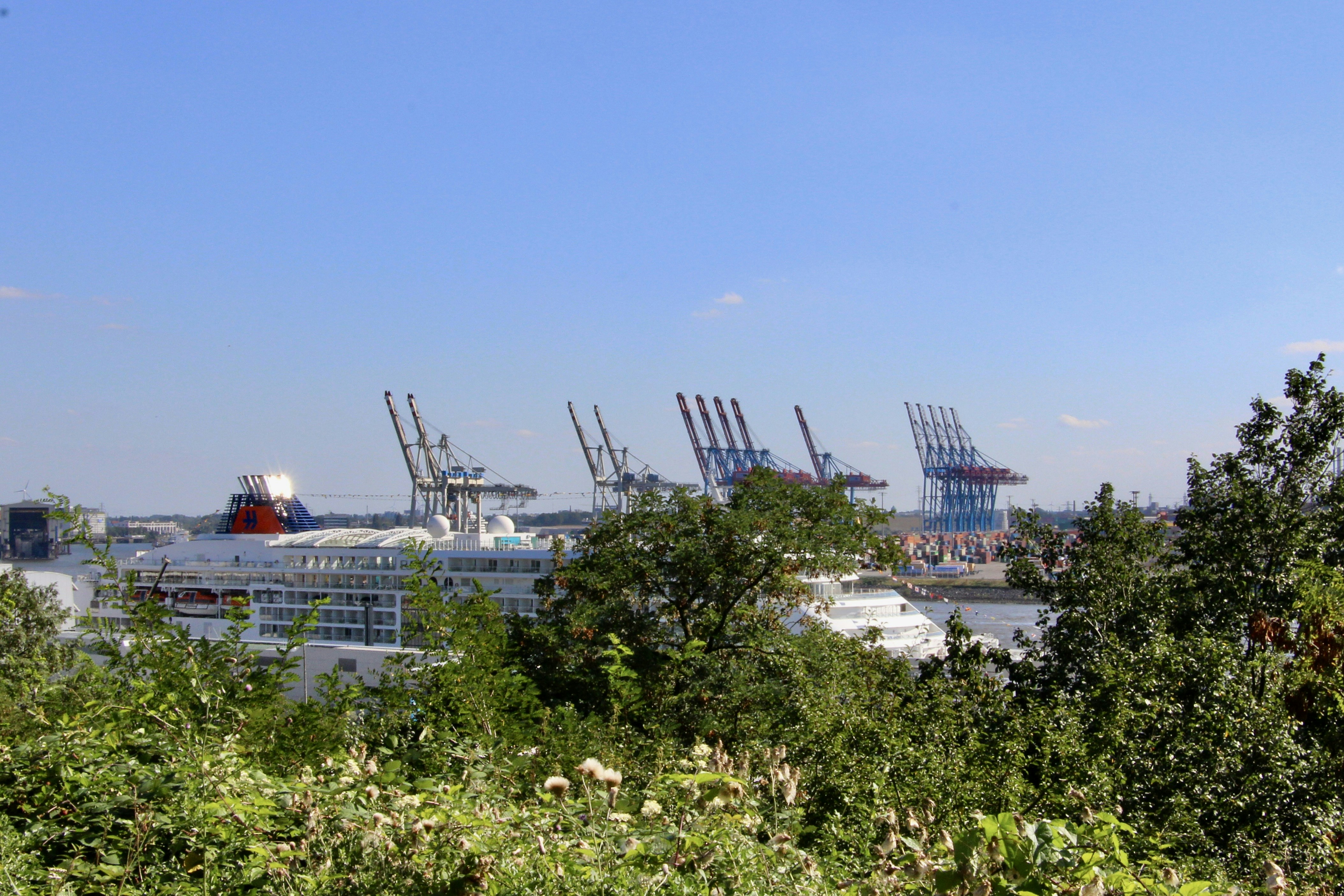 Cruise ship anchored near bustling docks, framed by lush greenery and towering cranes in the background.