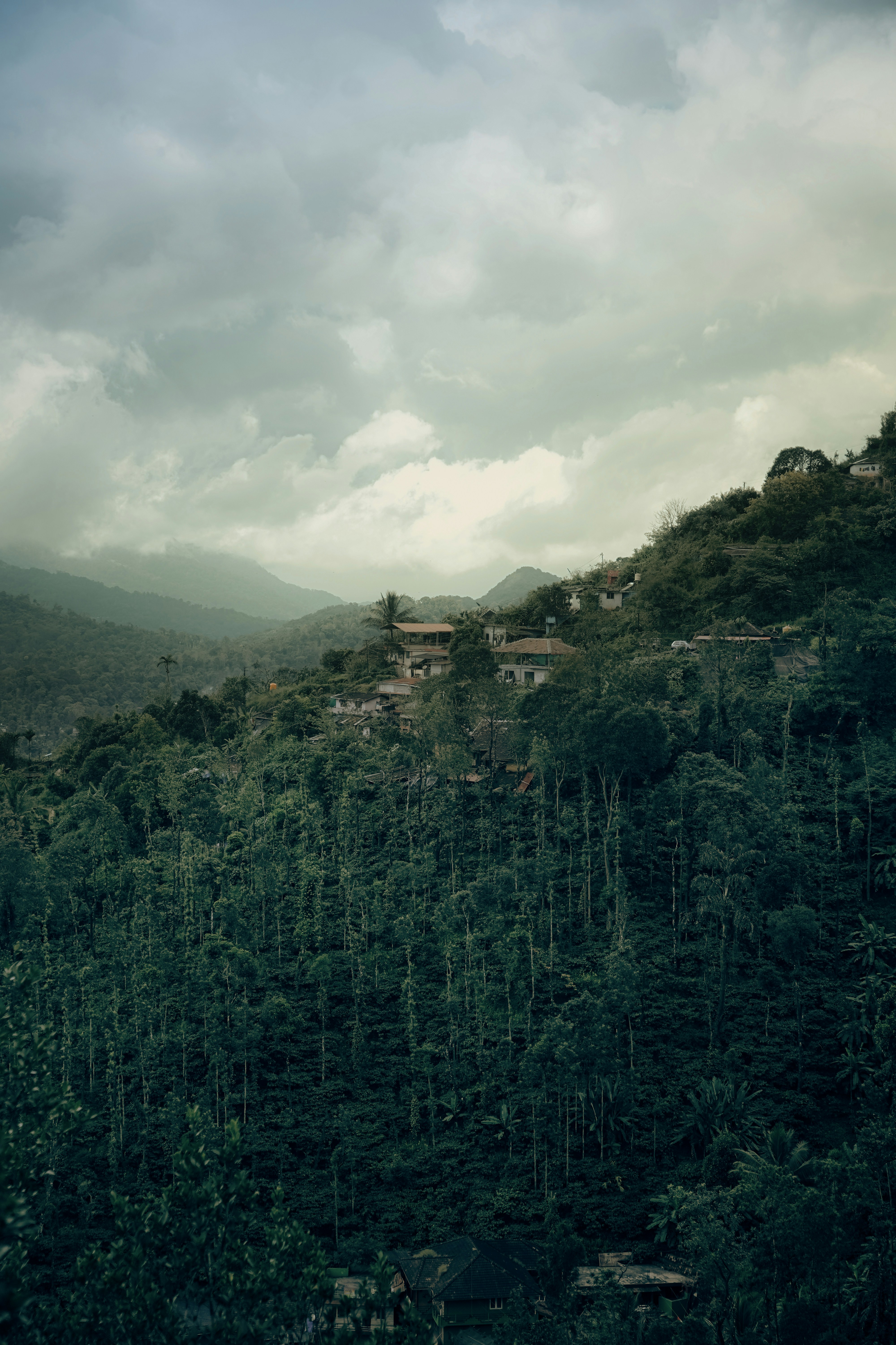 Hilltop houses nestled amidst dense forests and misty mountains, captured from Raja’s Seat in Madikeri. | Misty mountains covered in lush green forest