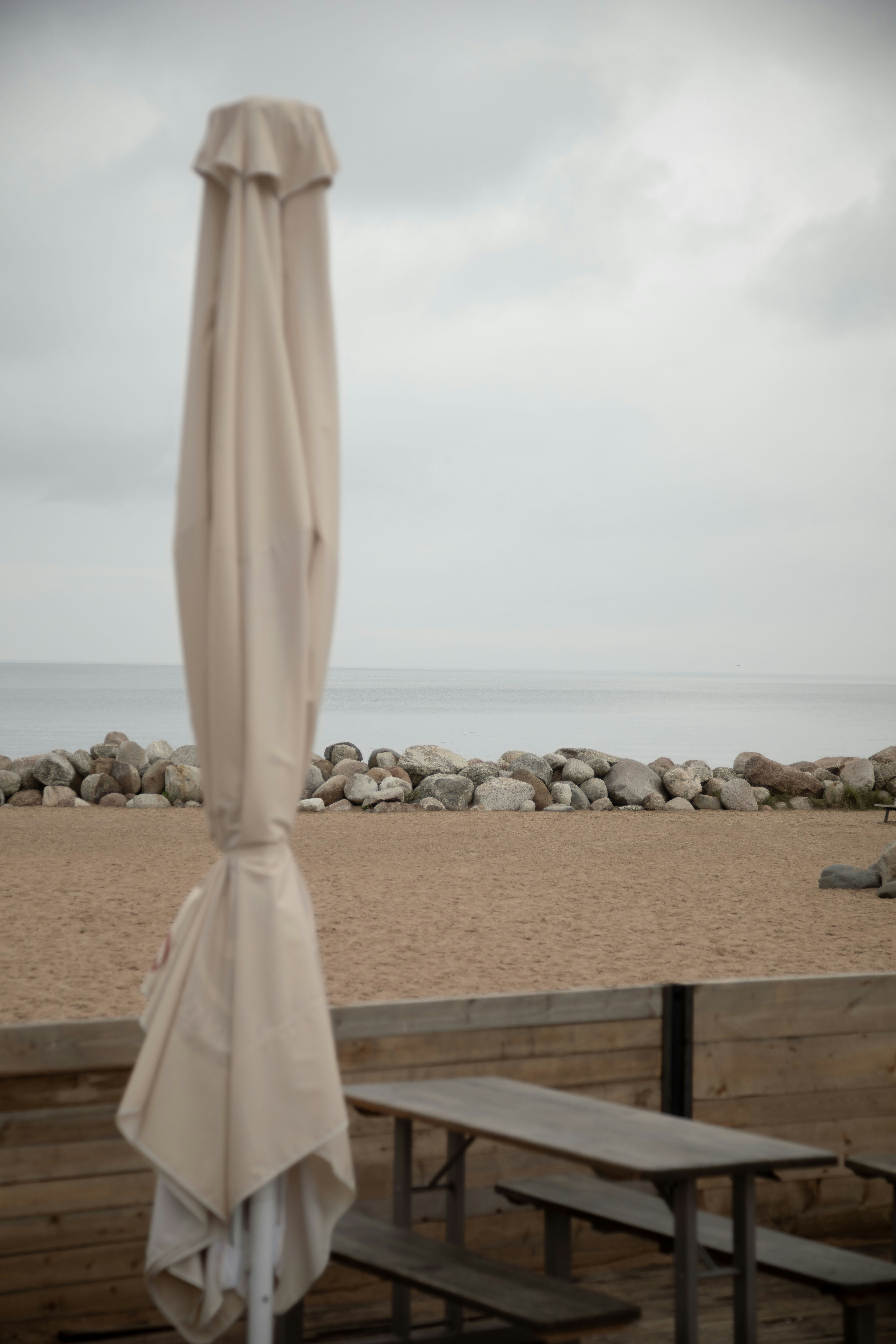 Whispers of a Quiet Shoreline