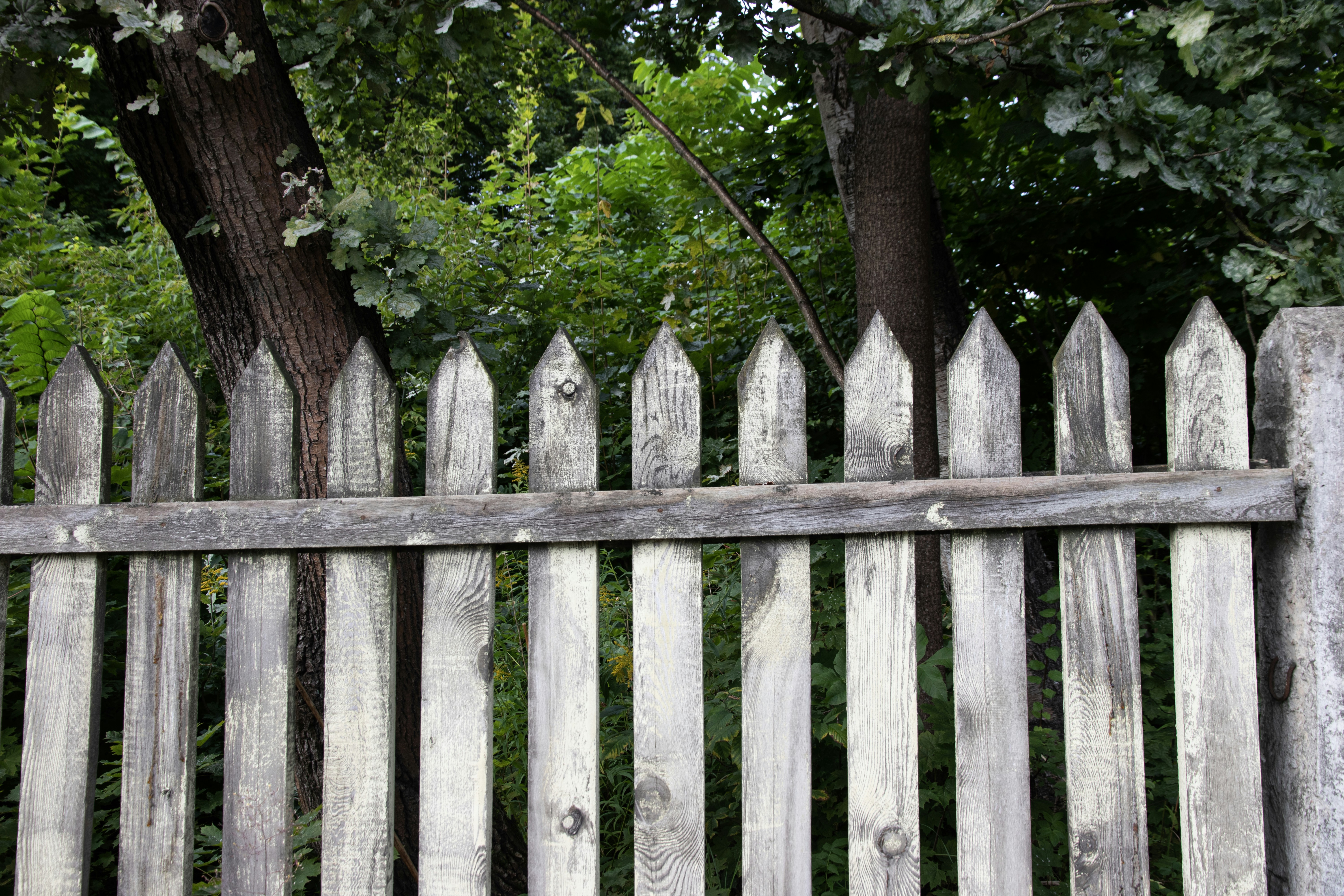 Weathered wooden picket fence with green foliage behind