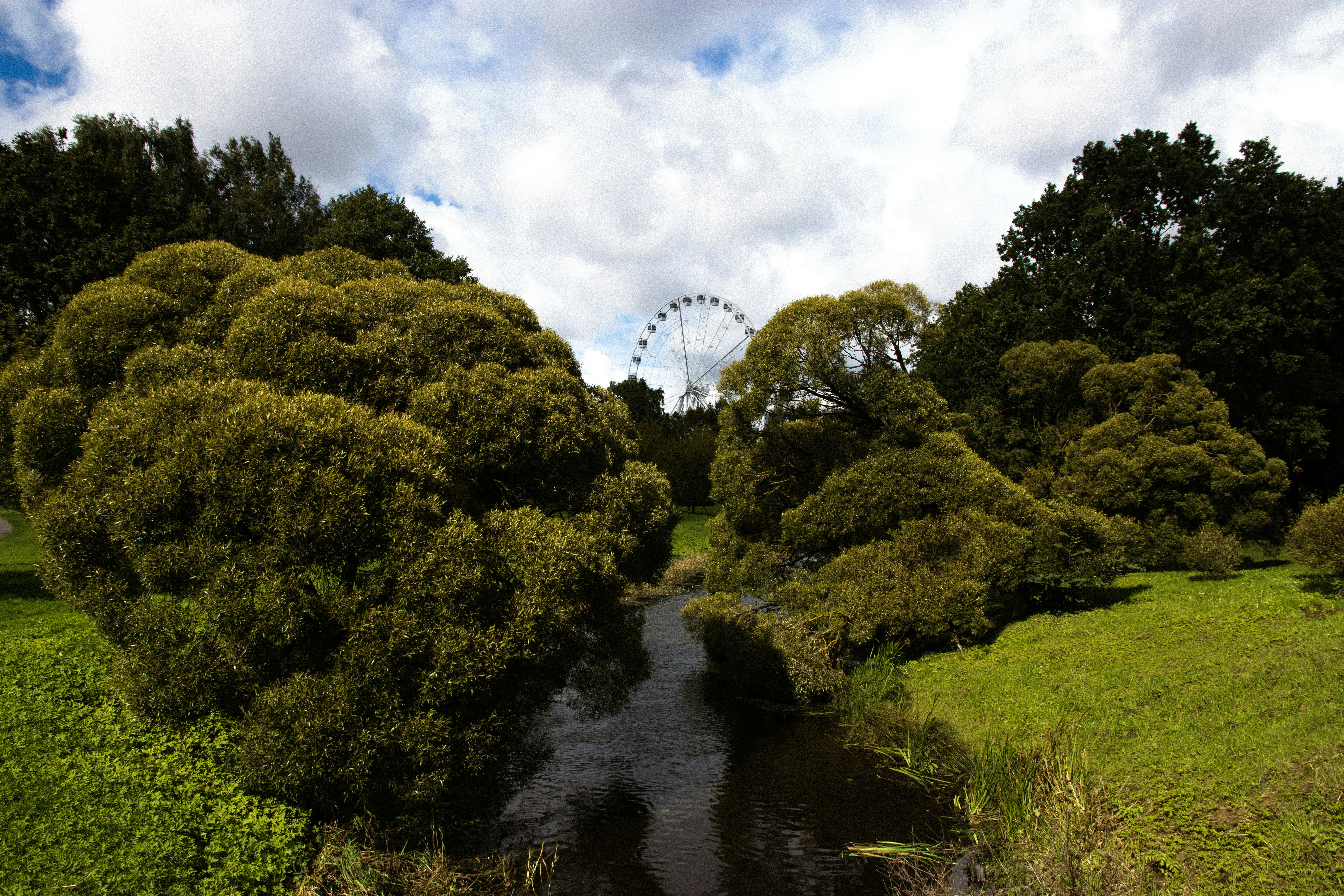 Ferris wheel visible through lush green trees in park