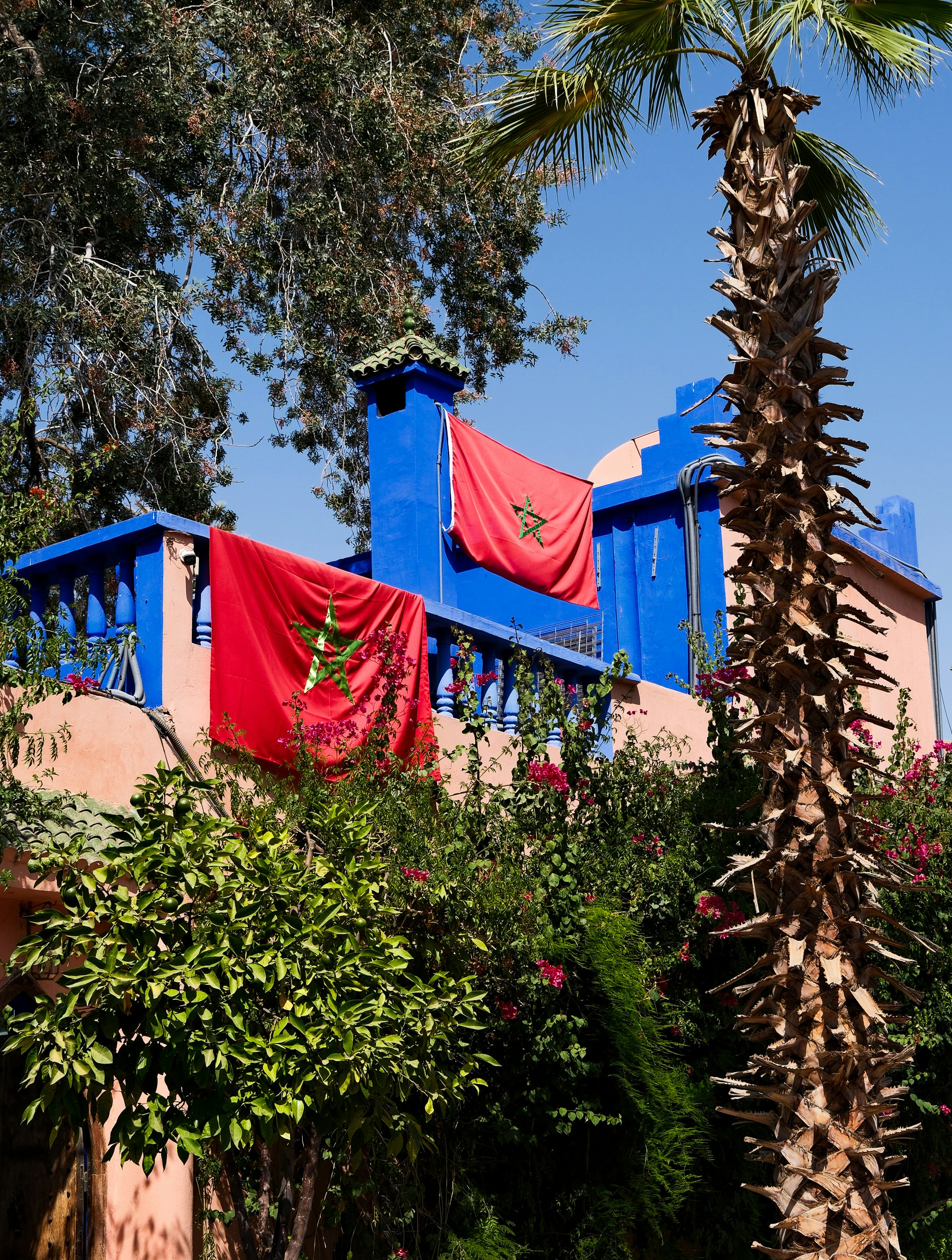 Vibrant Oasis: A Glimpse of Moroccan Heritage