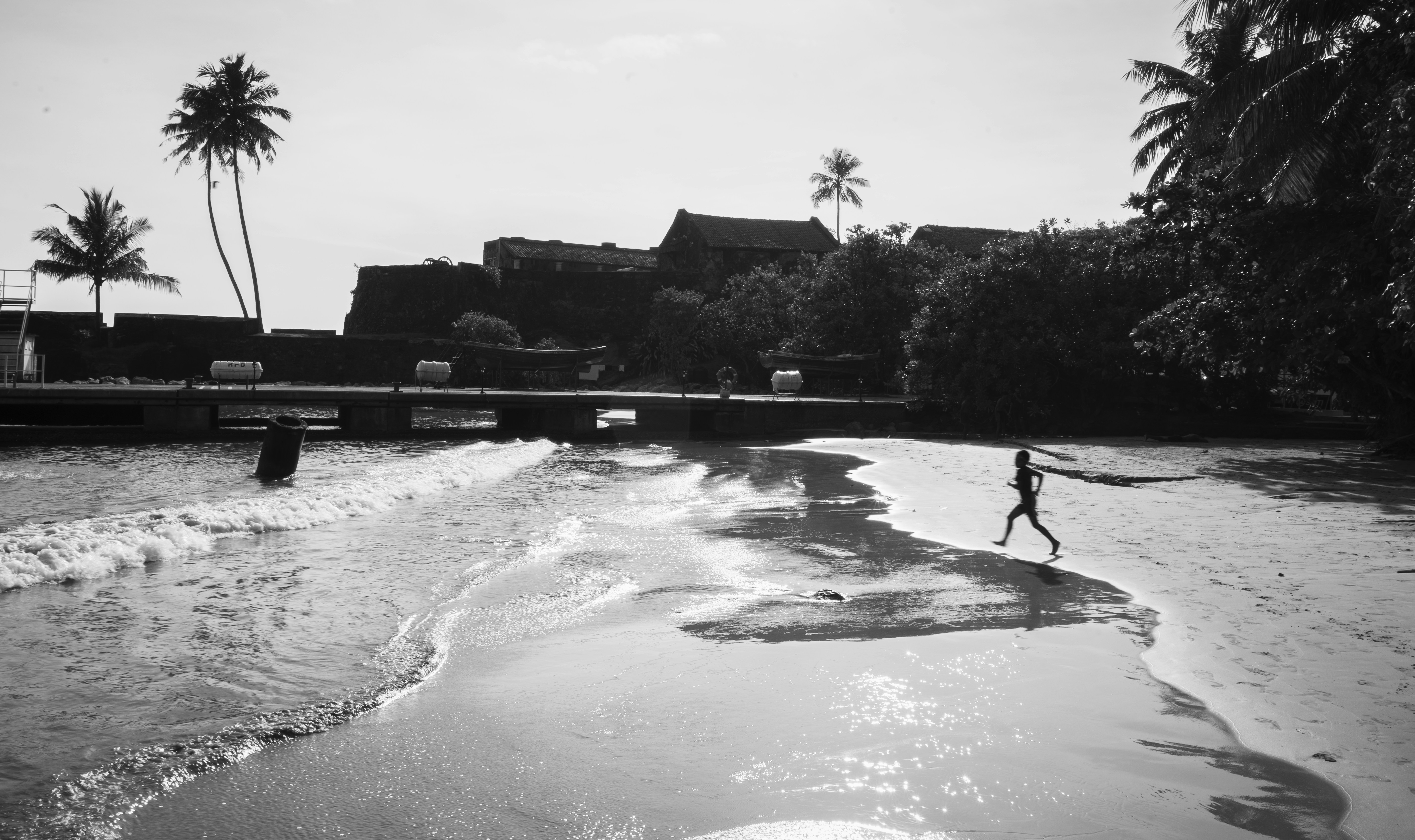 Chasing Shadows on the Shoreline