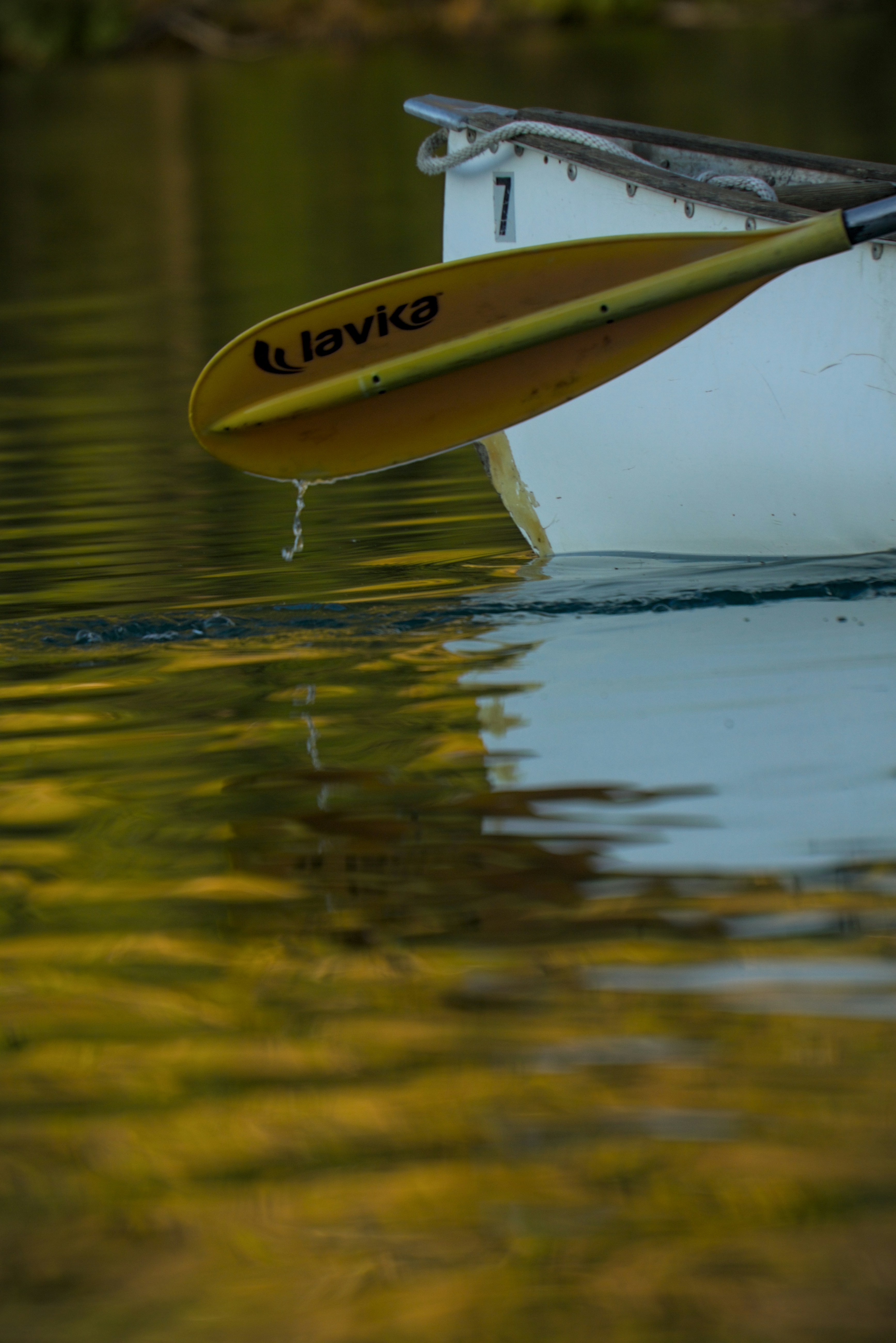 A canoe on a calm lake | Canoe paddle dipping into calm water