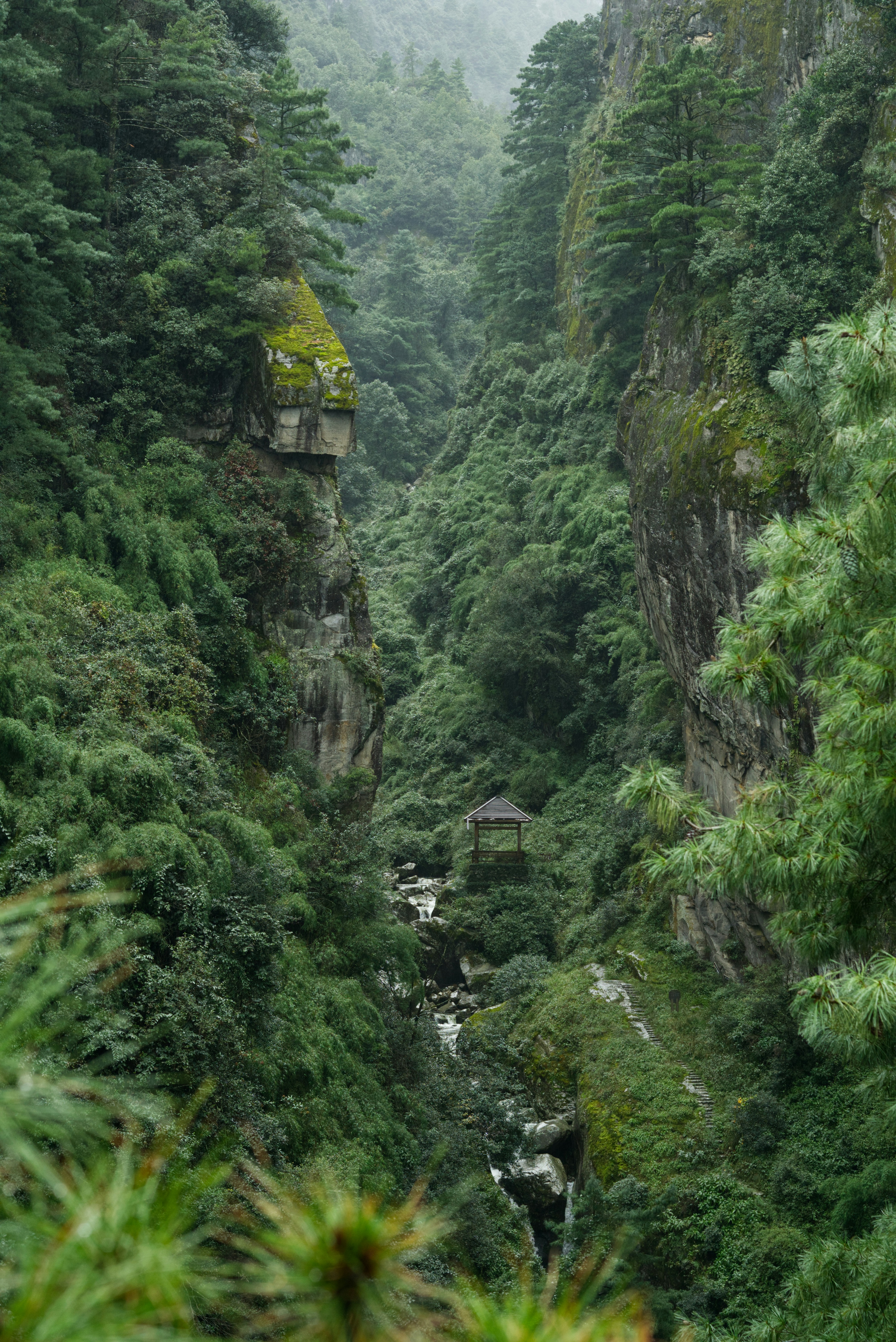 Whispers of the Hidden Valley